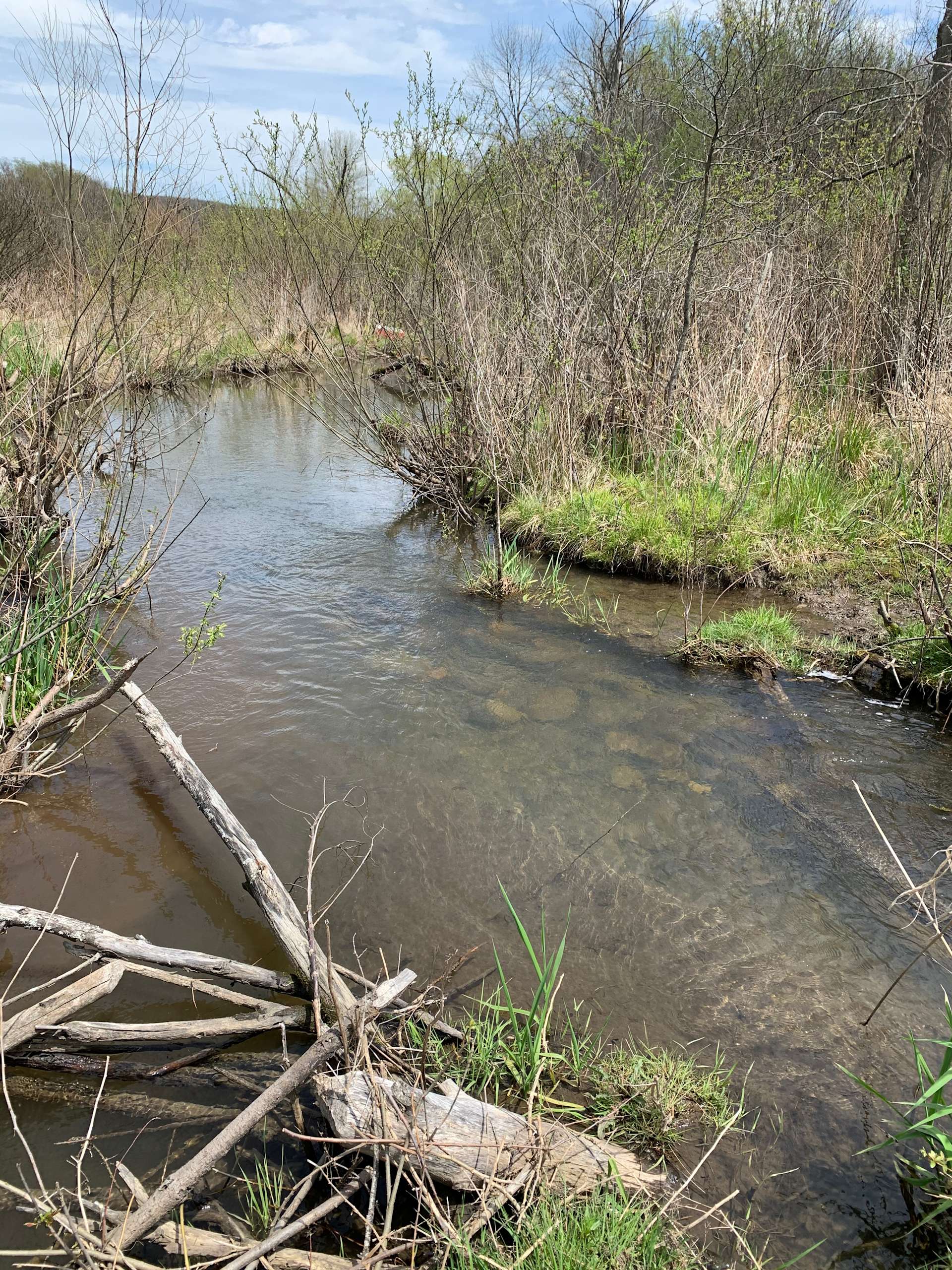Heart of Finger Lakes @ Beaver Bend - Hipcamp in Beaver Dams, New York
