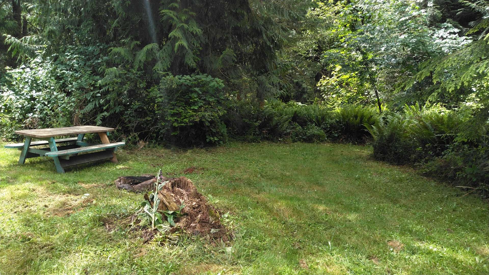 Sound View Camp - Hipcamp in Longbranch, Washington