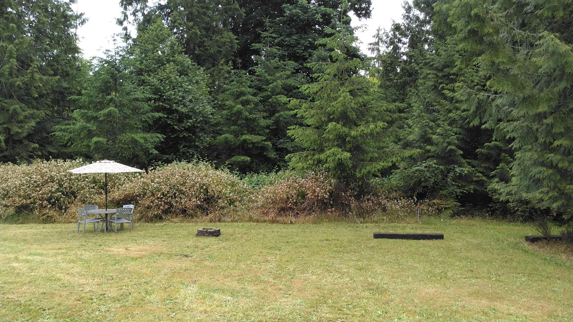 Sound View Camp - Hipcamp in Longbranch, Washington