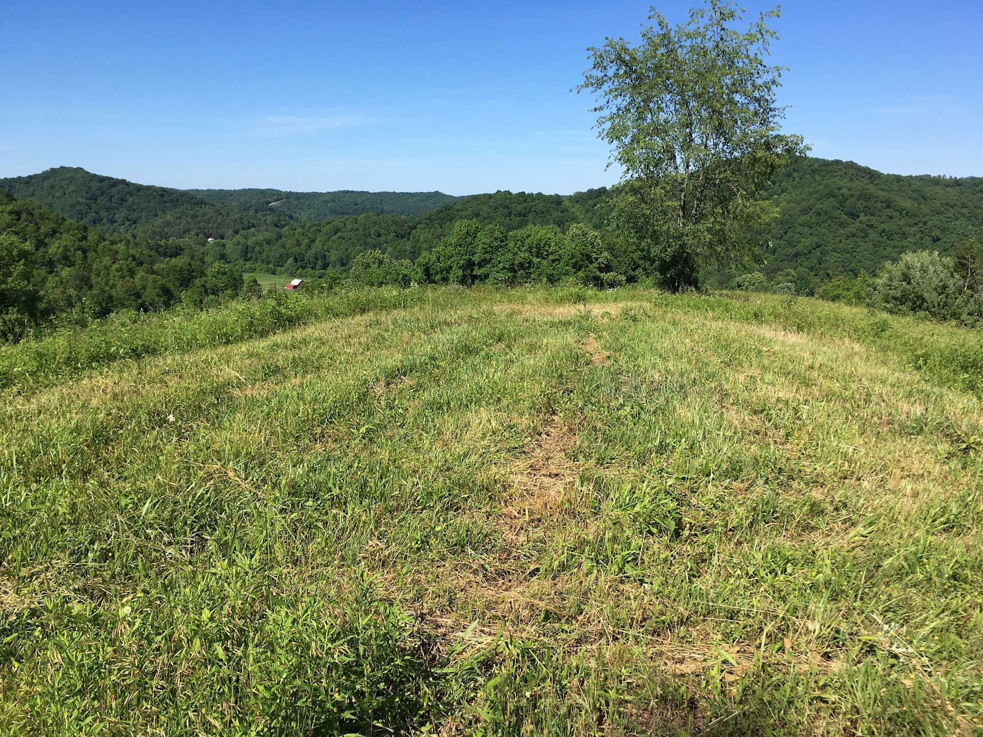 Big Laurel Ranch - Hipcamp in , Kentucky