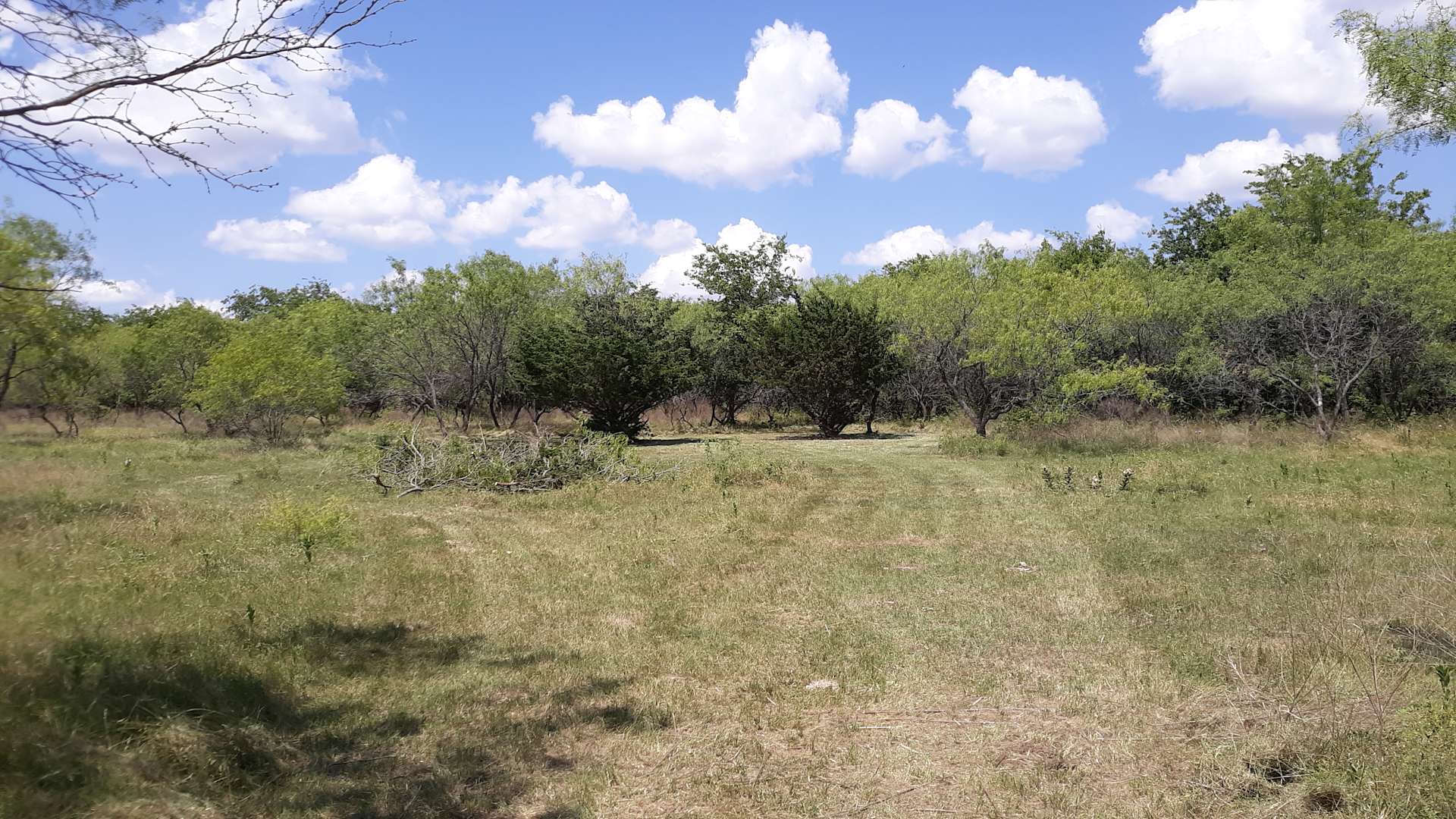 L7 Cattle Ranch Plus - Hipcamp in Moody, Texas