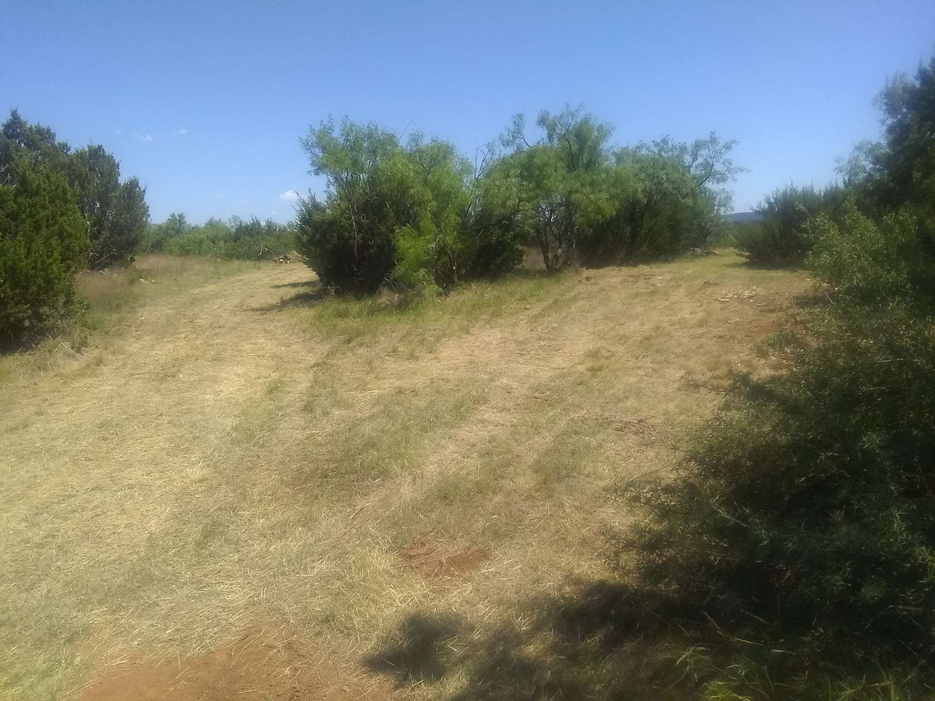 Lightning Ranch - Hipcamp in Merkel, Texas