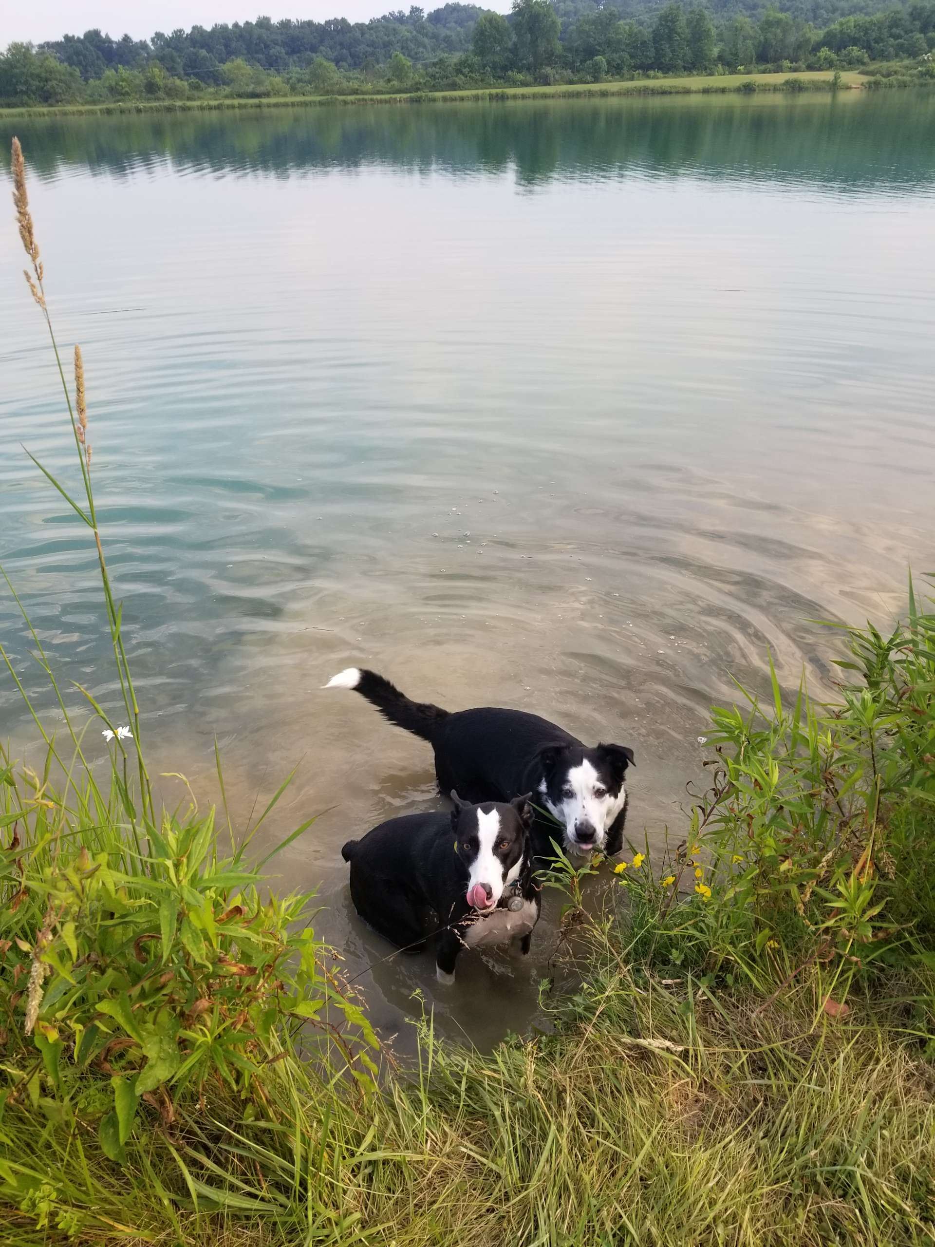 Fish Farm Camp - Hipcamp in Pleasant City, Ohio
