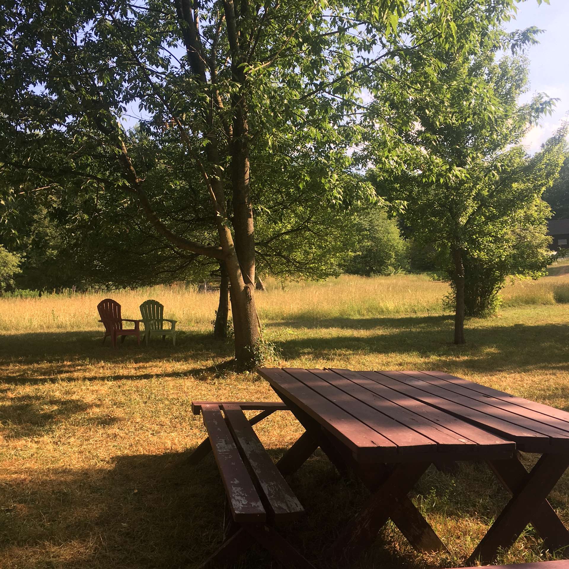 Sunswick Farm - Hipcamp in Moravia, New York