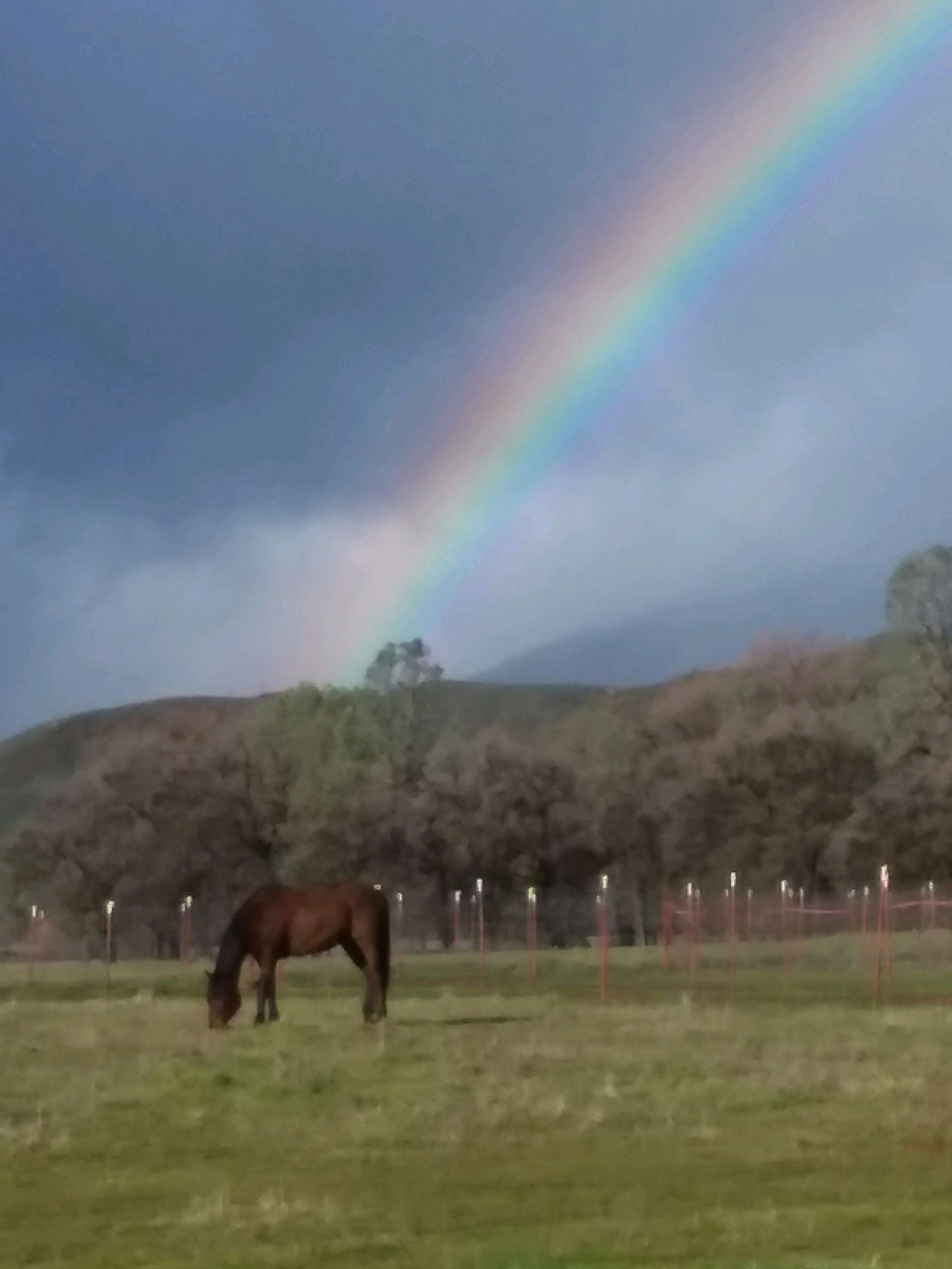 Morning Star Ranch - Hipcamp in Stonyford, California