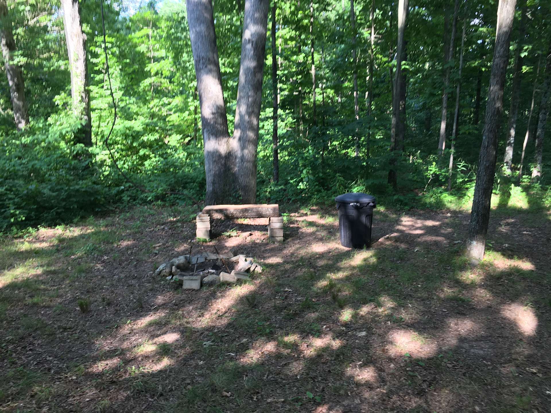 Away In The Woods - Hipcamp in Alma, Illinois