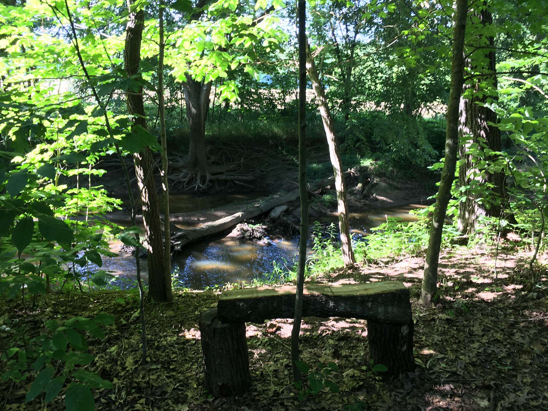 Away In The Woods - Hipcamp in Alma, Illinois