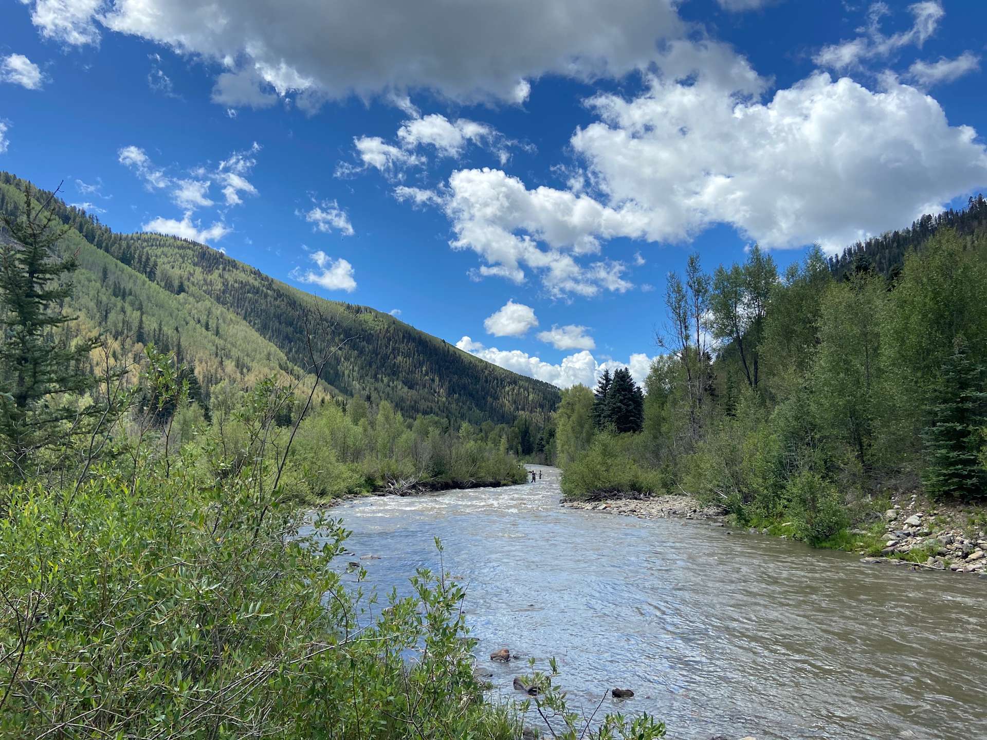Lazy Rooster Ranch - Hipcamp in Rico, Colorado