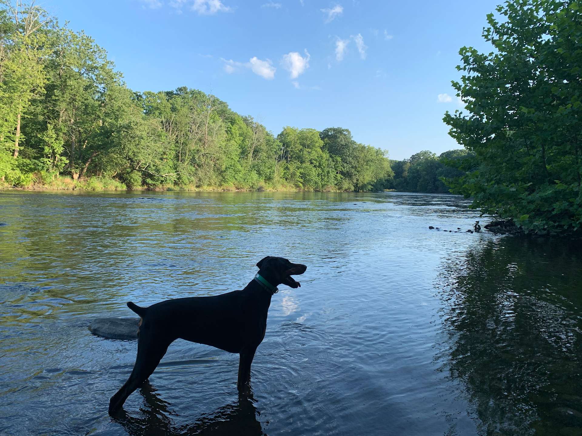 Historic Riverside Farm - Hipcamp in Walden, New York