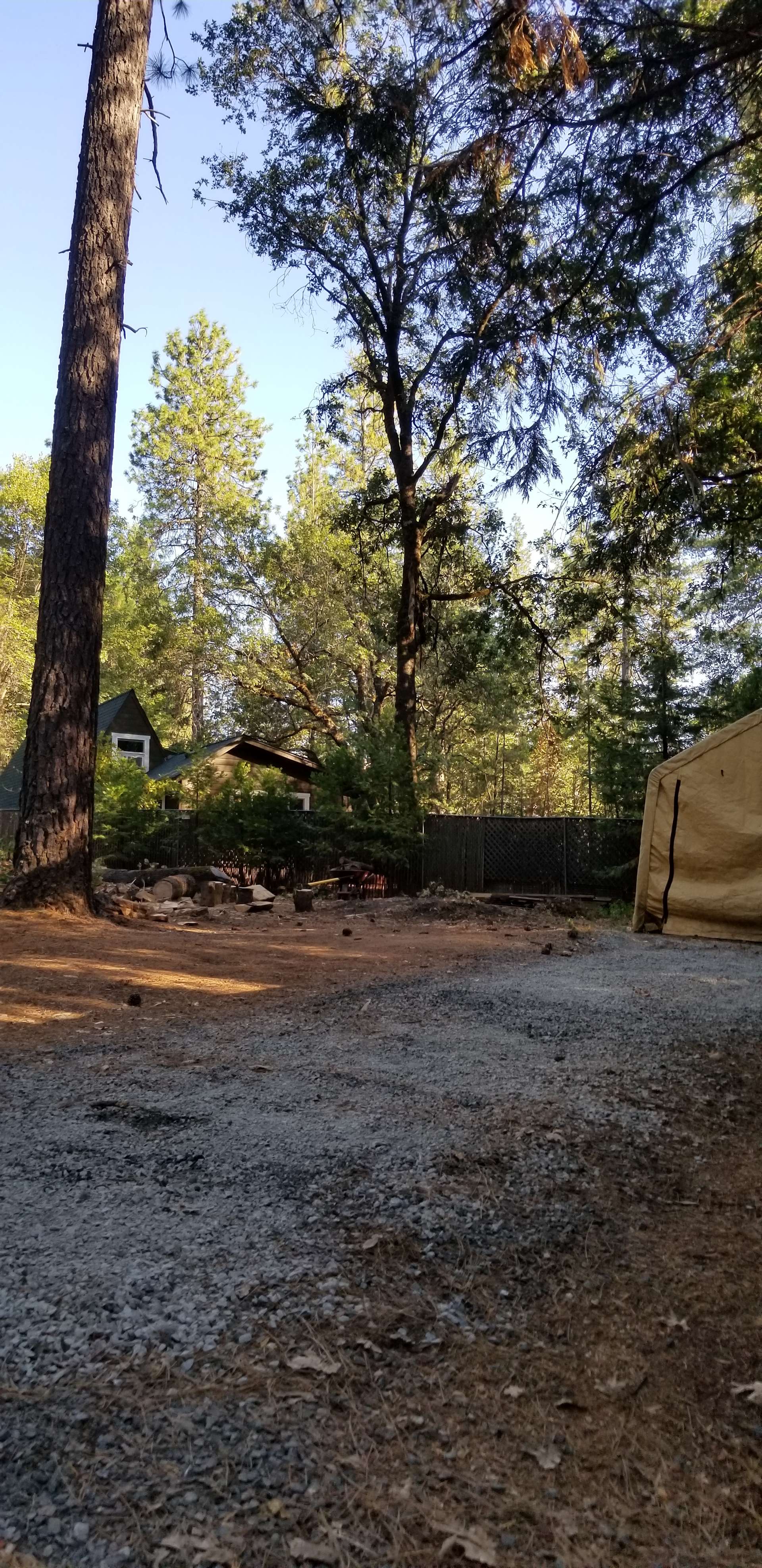Jeff As Land Hipcamp In Grass Valley California