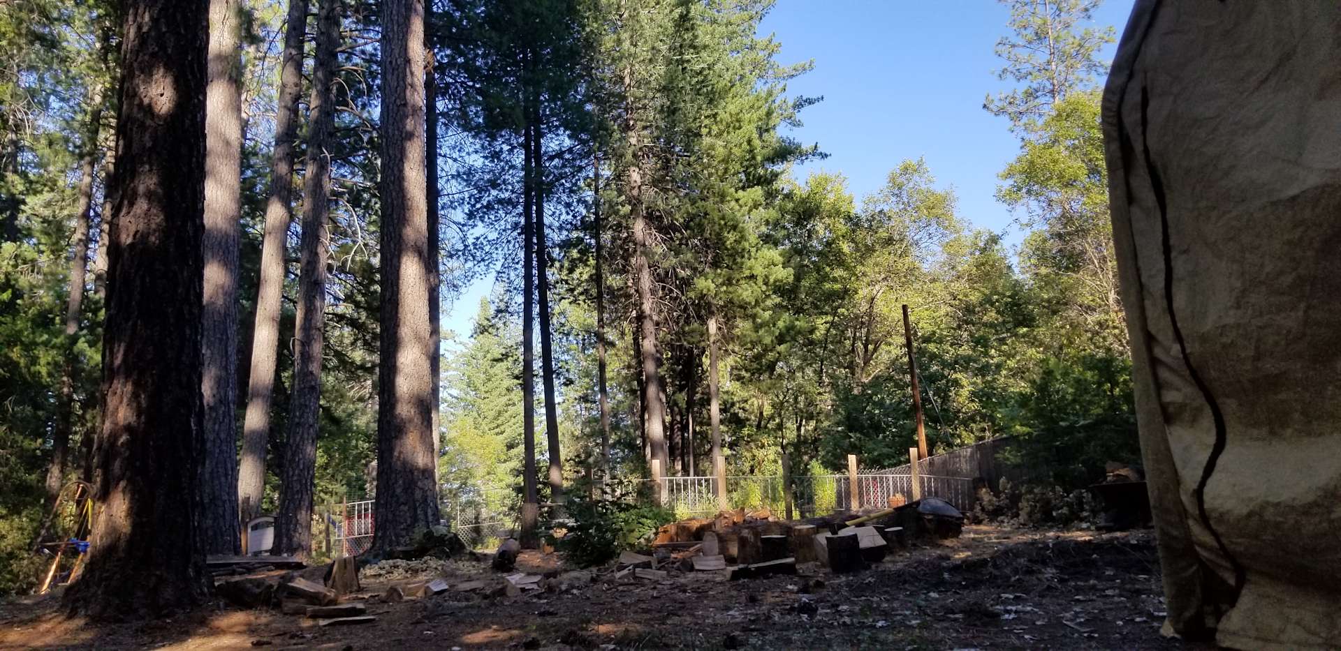 Jeff As Land Hipcamp In Grass Valley California