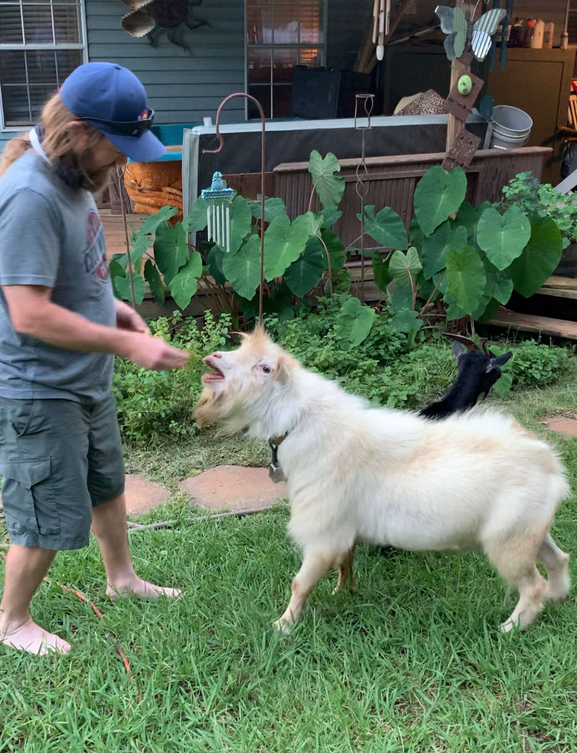 Goat Camp - Hipcamp in Jackson, Georgia