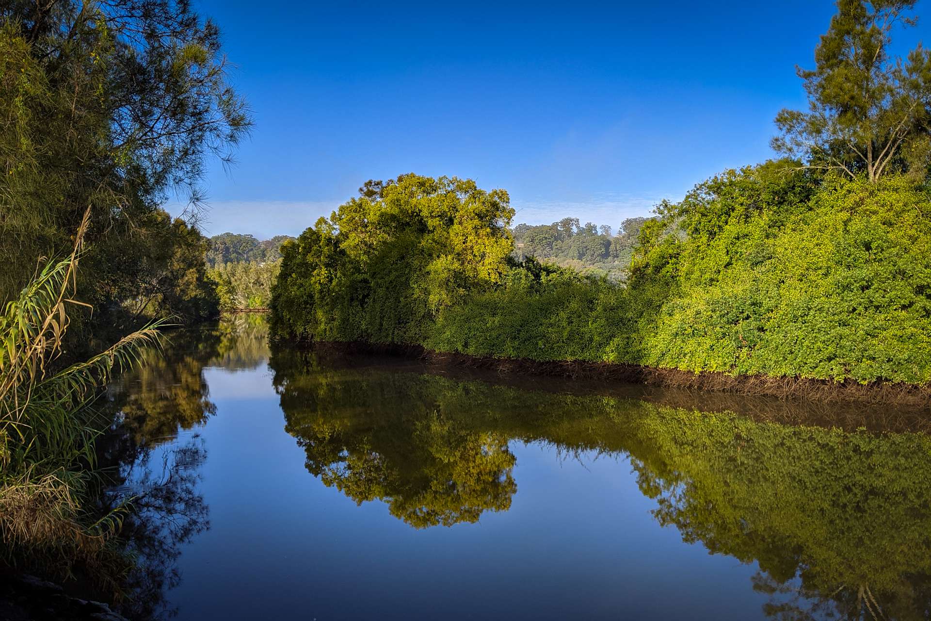 Bli Bli Valley Farm - Hipcamp in Bli Bli, Queensland