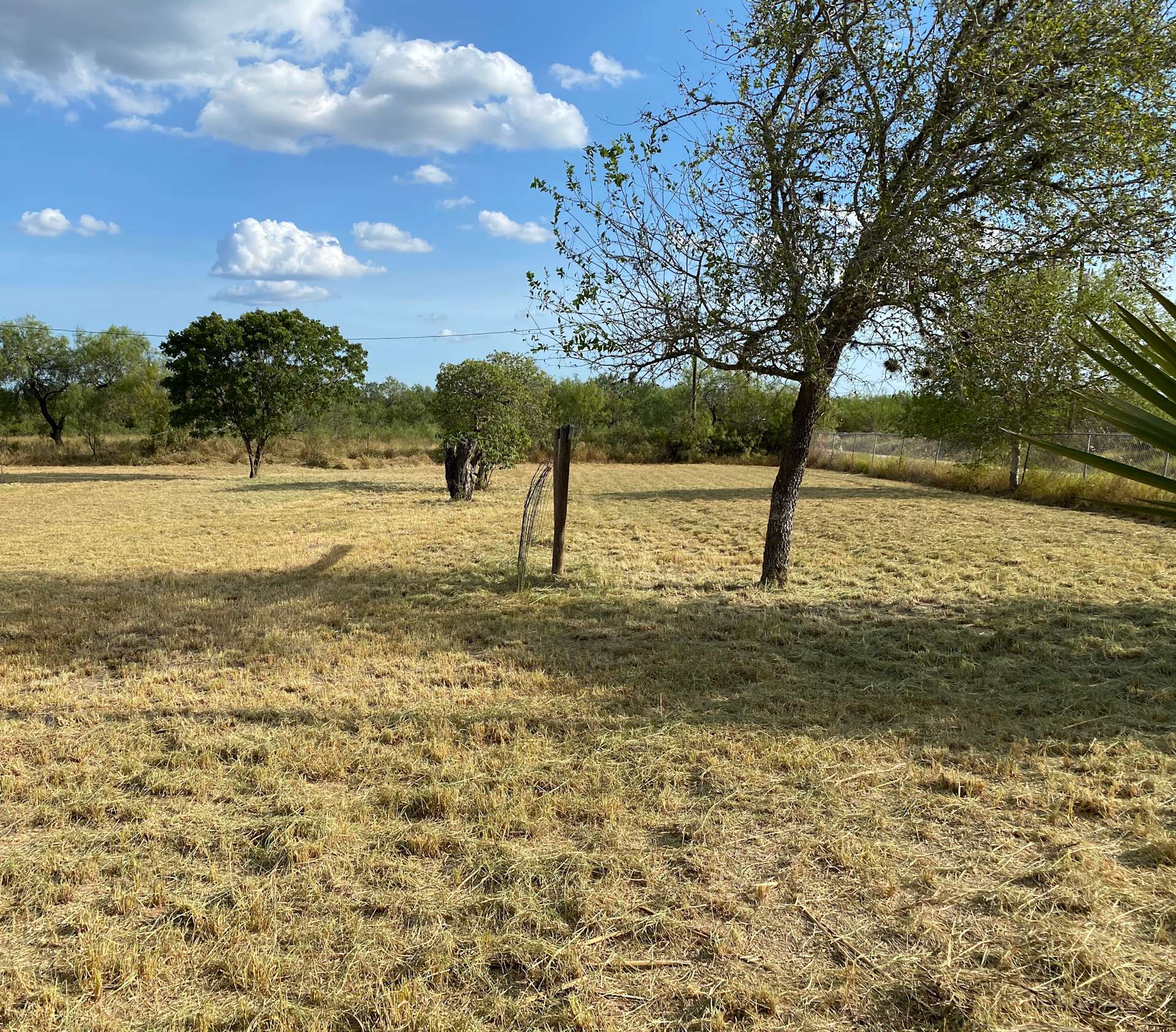 Wildcatter Heirs Hunting Camp - Hipcamp in Realitos, Texas