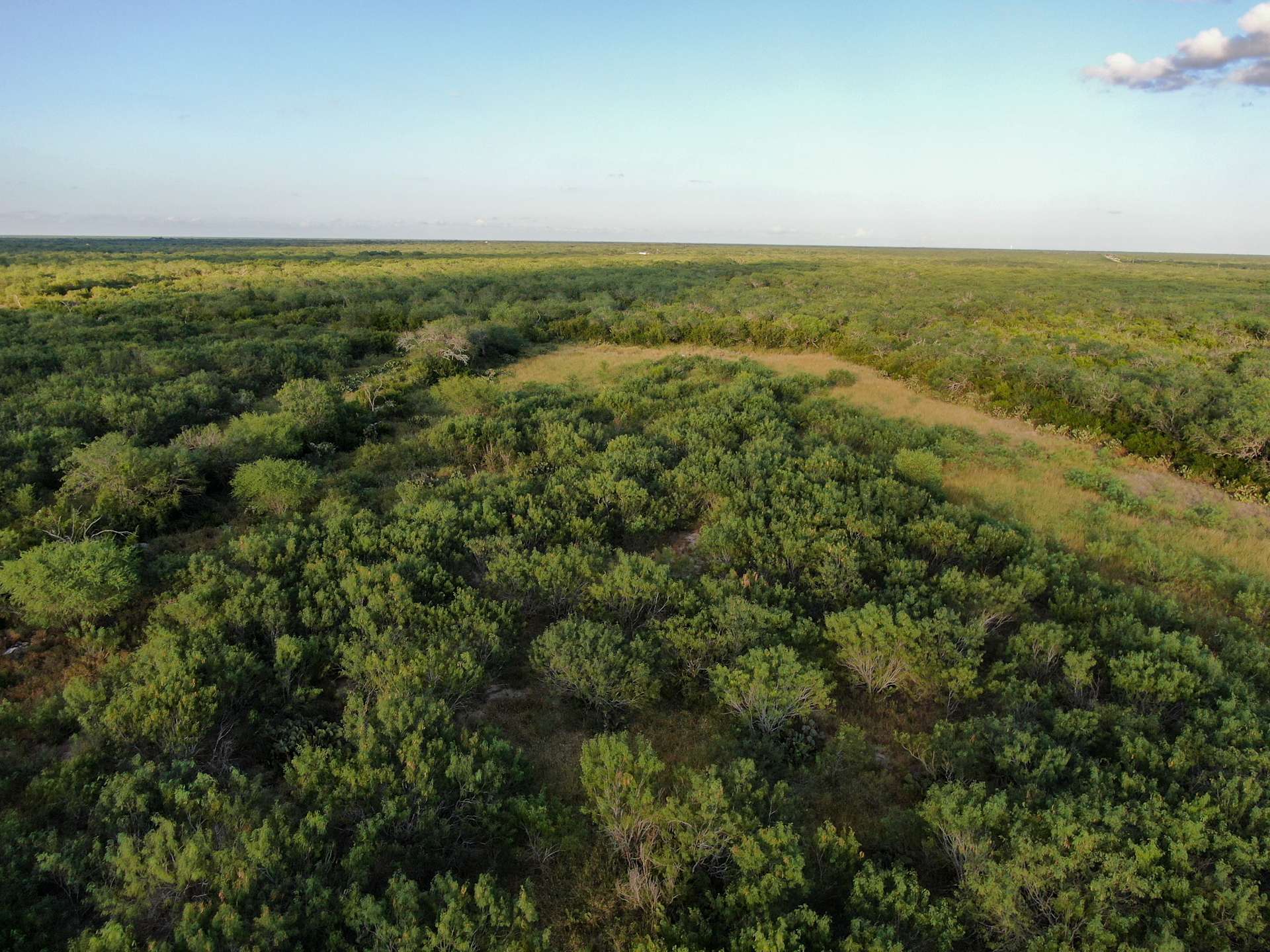 Wildcatter Heirs Hunting Camp - Hipcamp in Realitos, Texas
