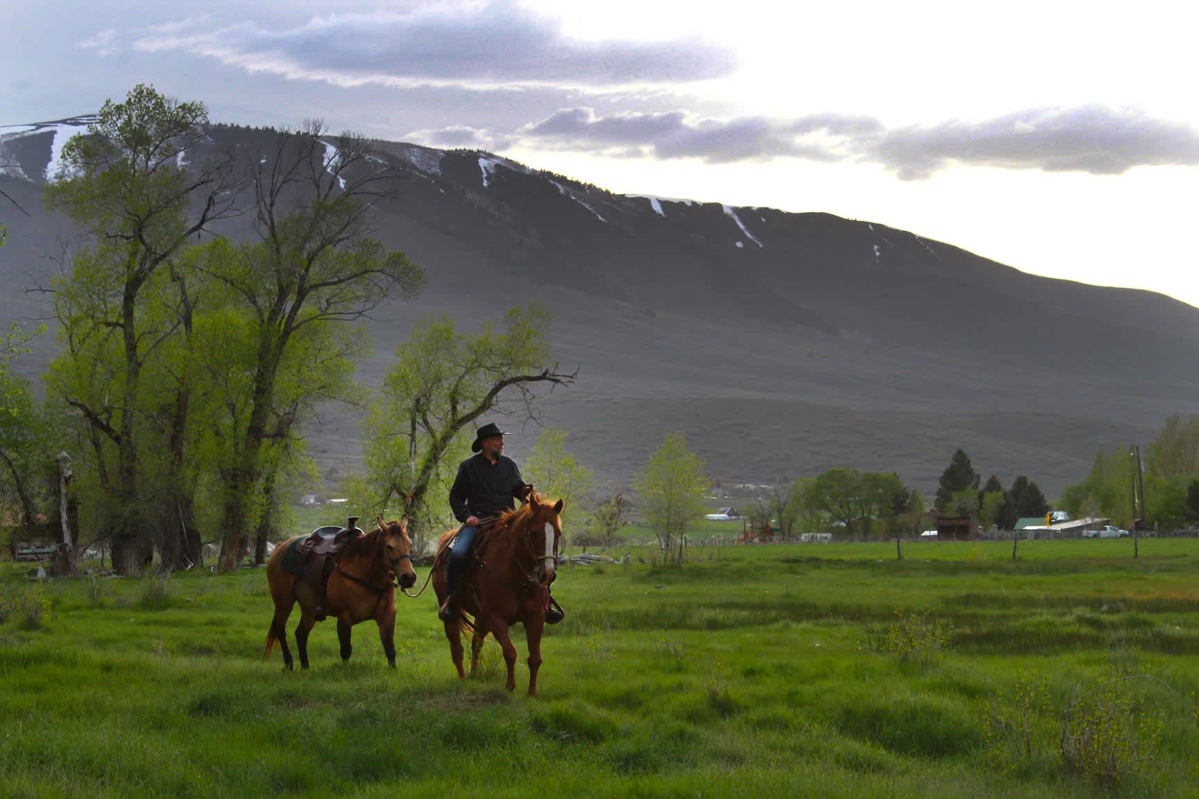 Ranch camping with seasonal stream - Hipcamp in Wallsburg, Utah