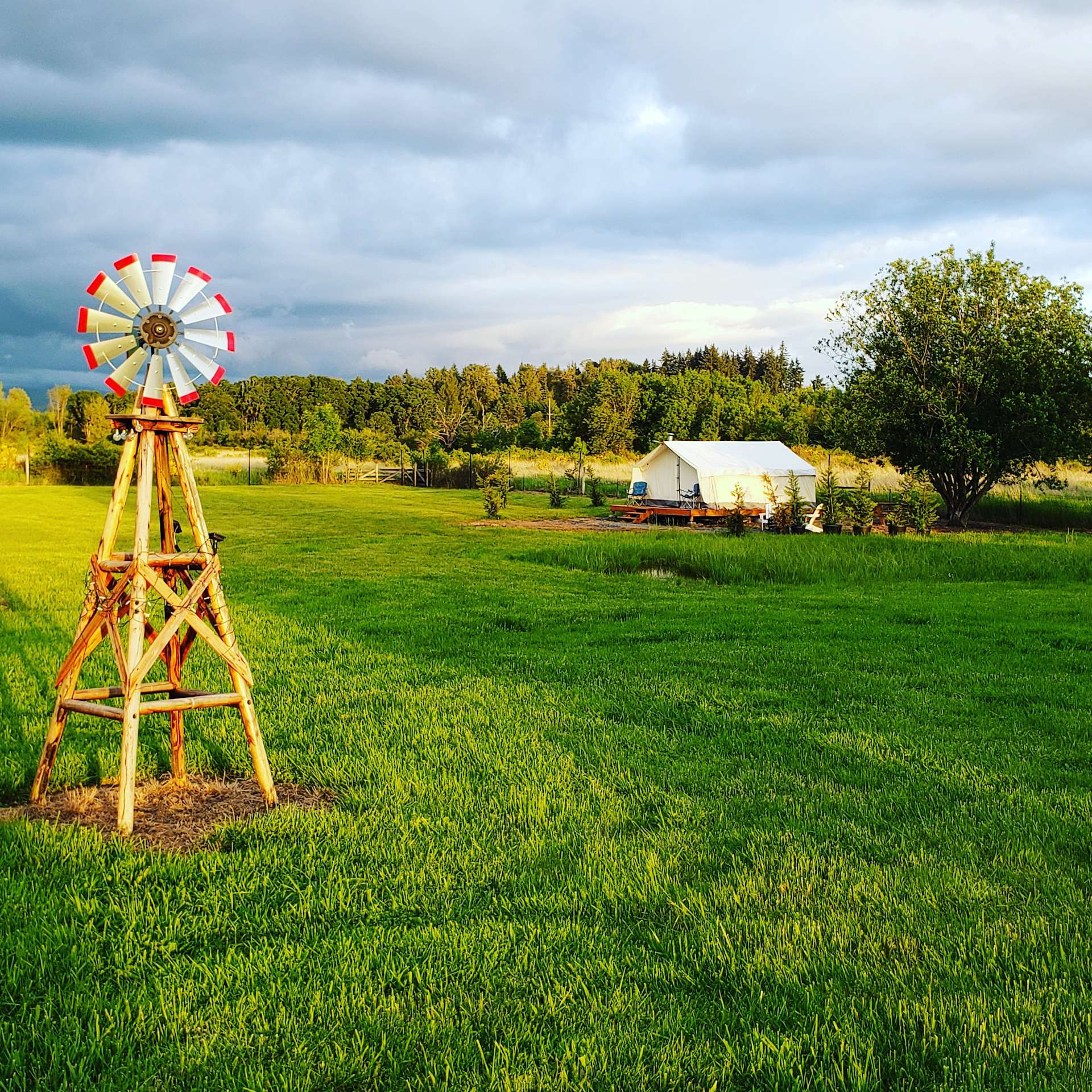 Miranda's Farm and recreation - Hipcamp in Molalla, Oregon
