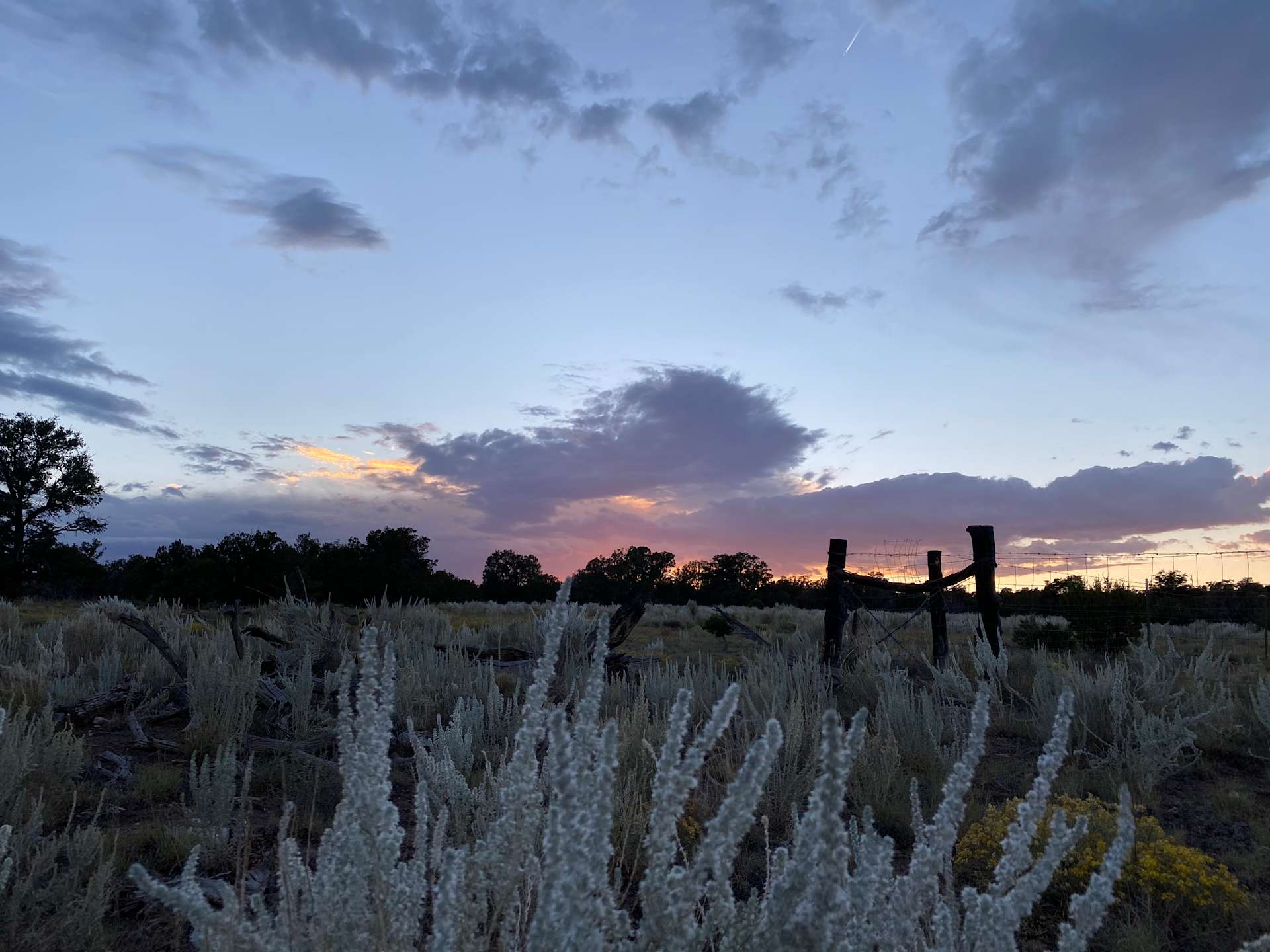 High Desert Magic - Hipcamp in New Mexico 87829, New Mexico