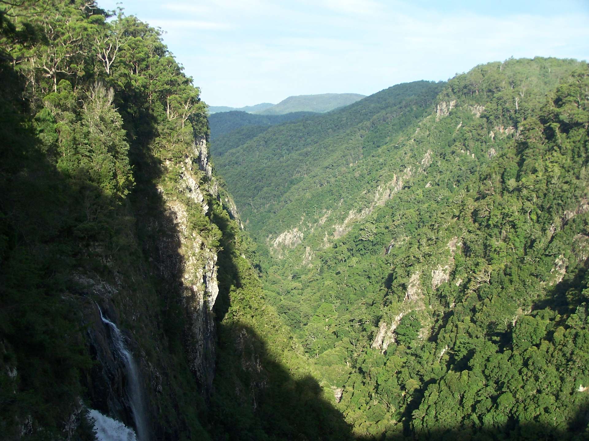 Bulga Forest Elands Escape - Hipcamp in Bulga Forest, New South Wales