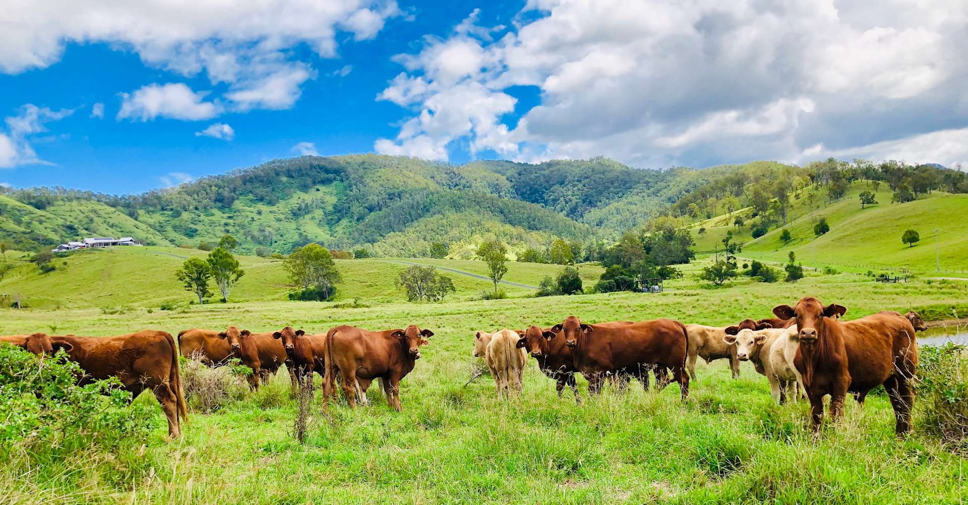 Mount Kilcoy Creek Camp (Lowndes Zoo) - Hipcamp in Mount Kilcoy, Queensland