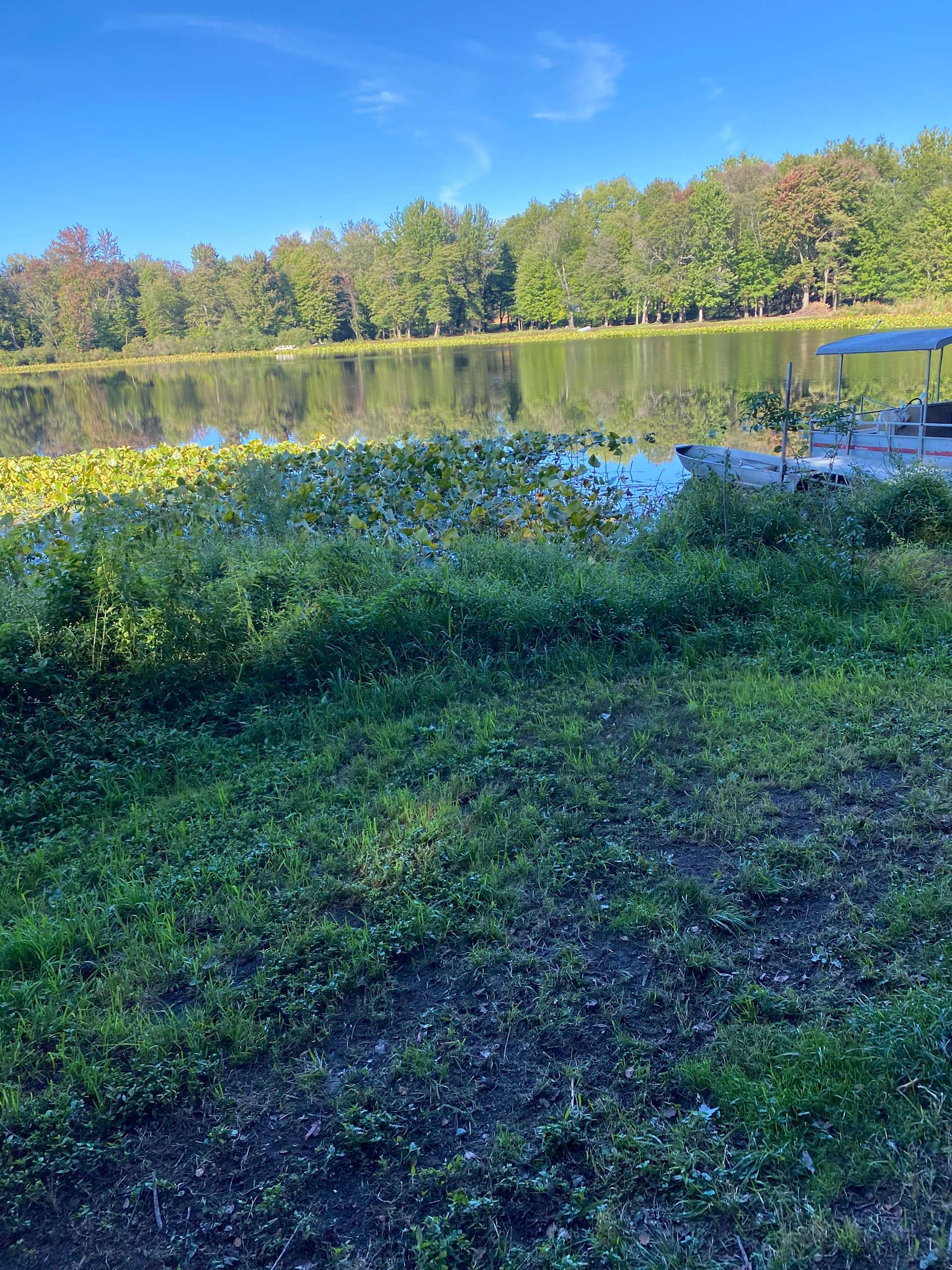 The Riding Stable and Resort - Hipcamp in Lakeville, Indiana