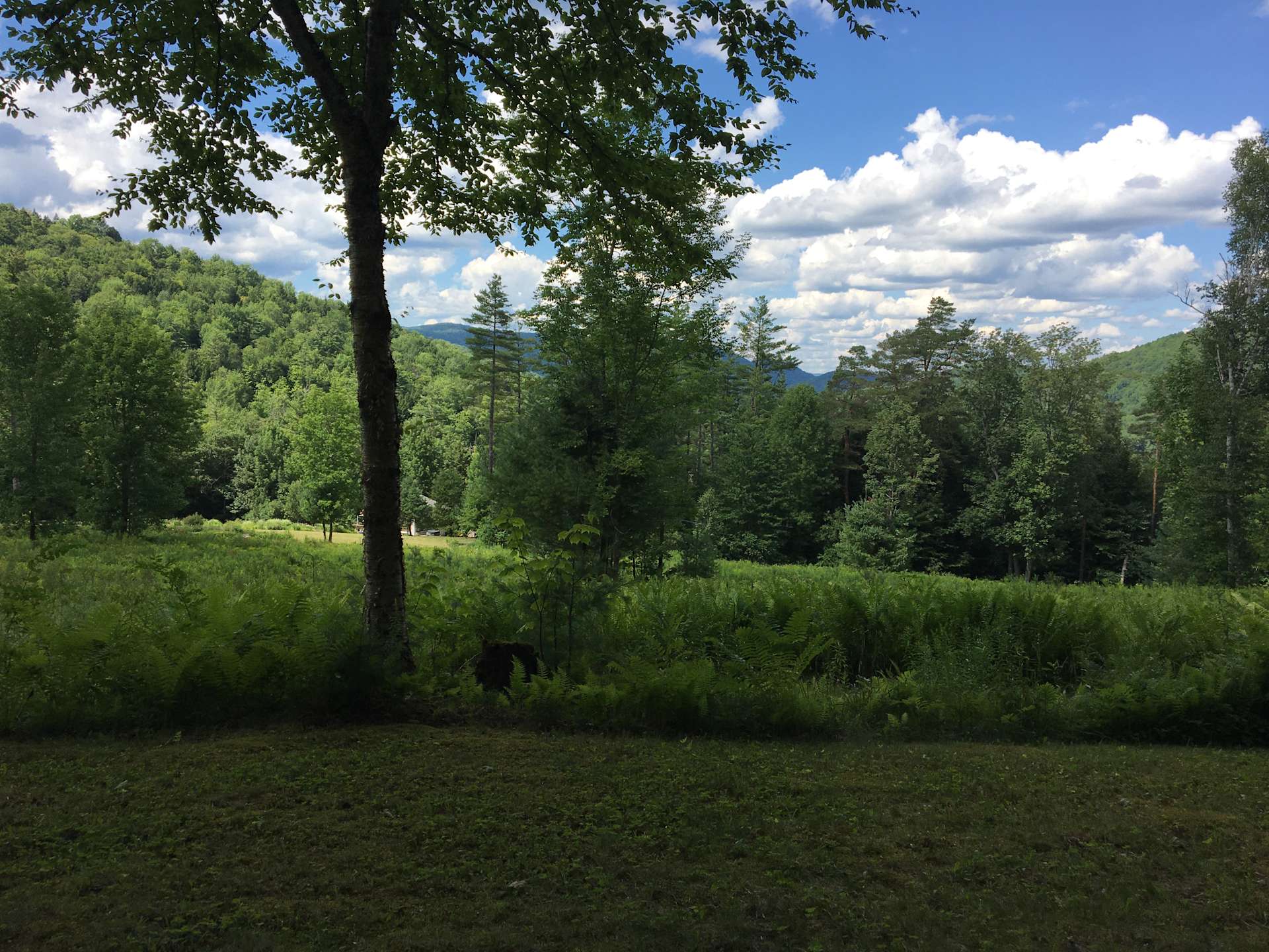 Birds Eye View Vermont - Hipcamp in Bethel, Vermont