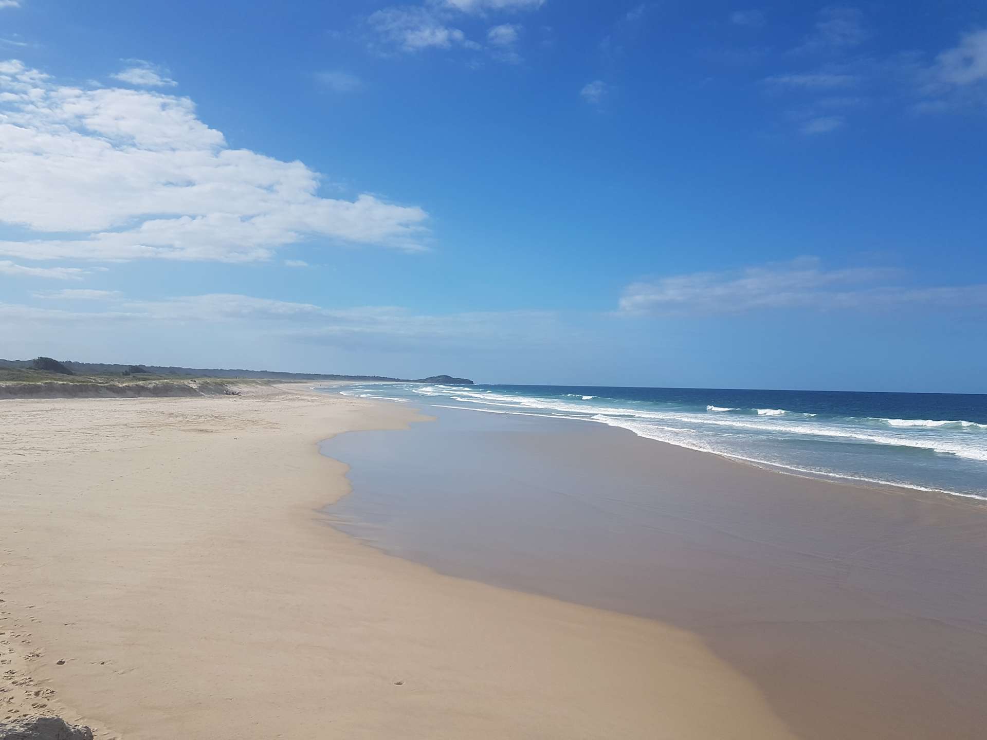 Woombah Woods Caravan park - Hipcamp in Woombah, New South Wales