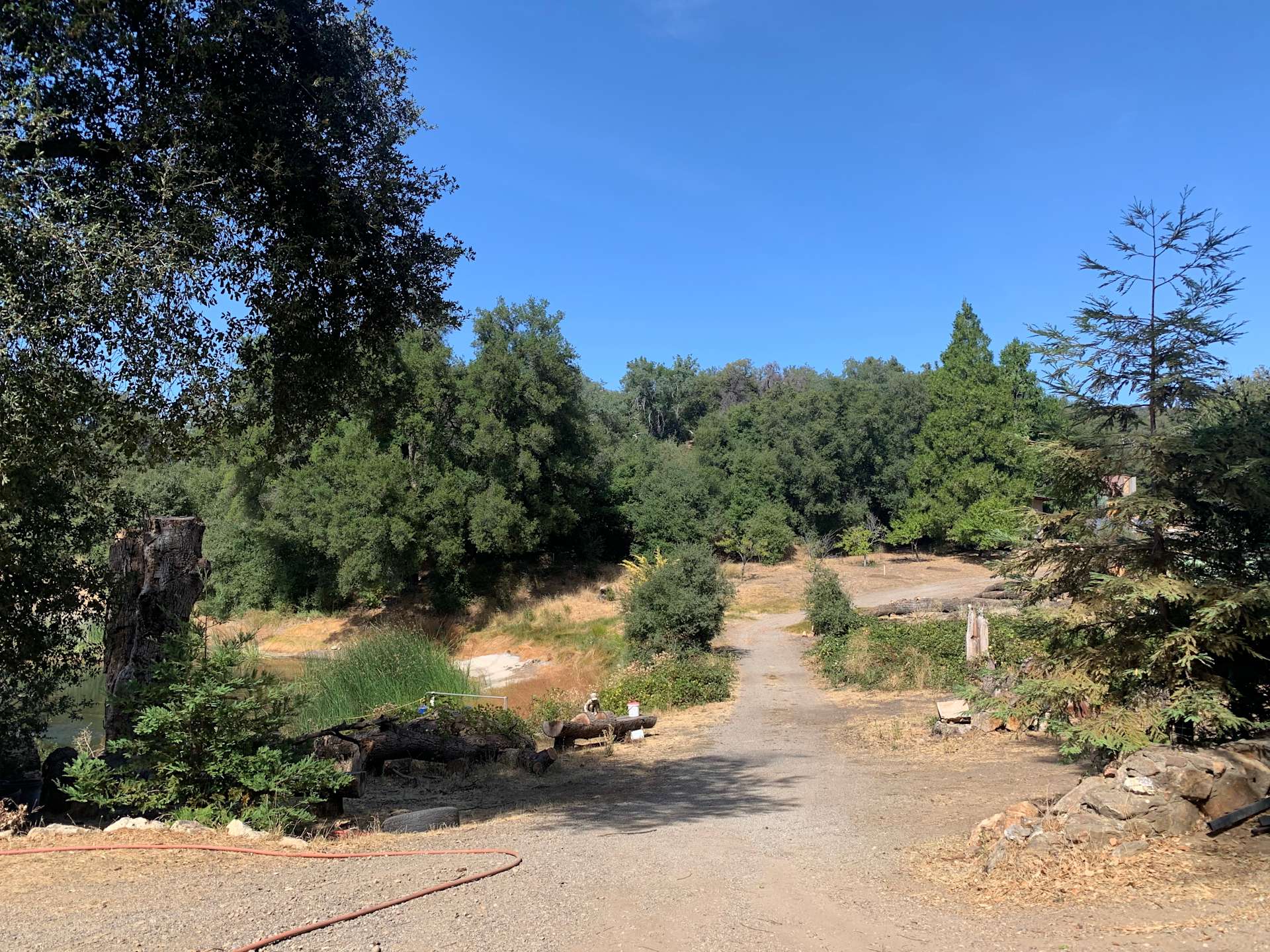 A taste of nature/wildlife. - Hipcamp in Julian, California