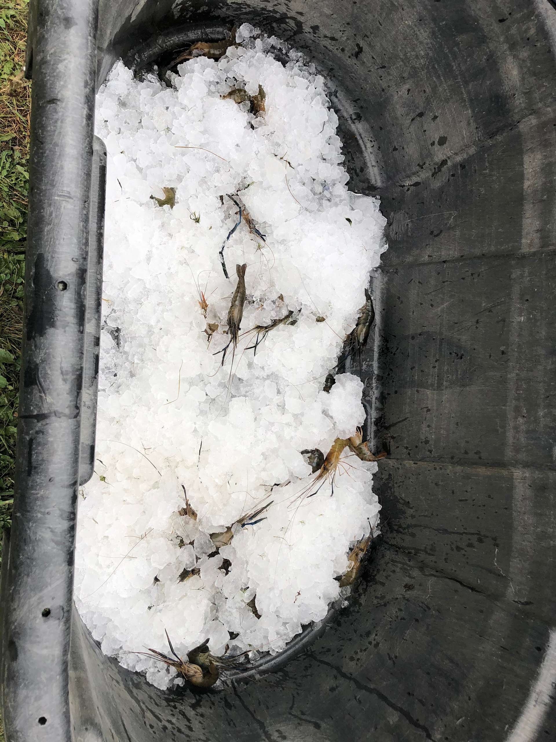 Fish Farm Camp - Hipcamp in Pleasant City, Ohio