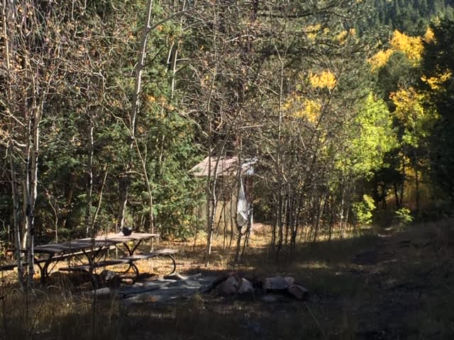 Creekside Paradise - Hipcamp in , Colorado