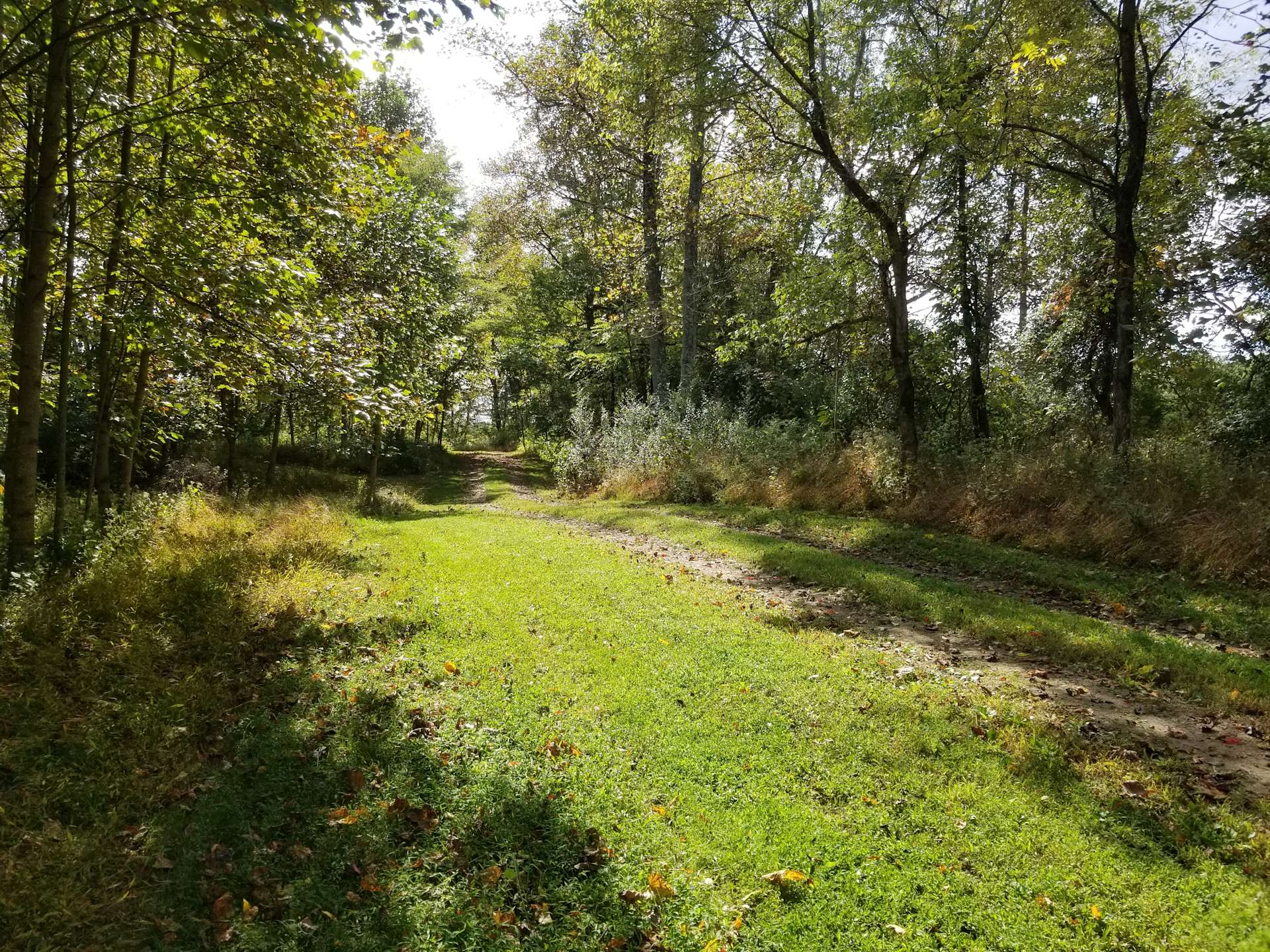 Tranquility Spring Campground - Hipcamp in Peebles, Ohio