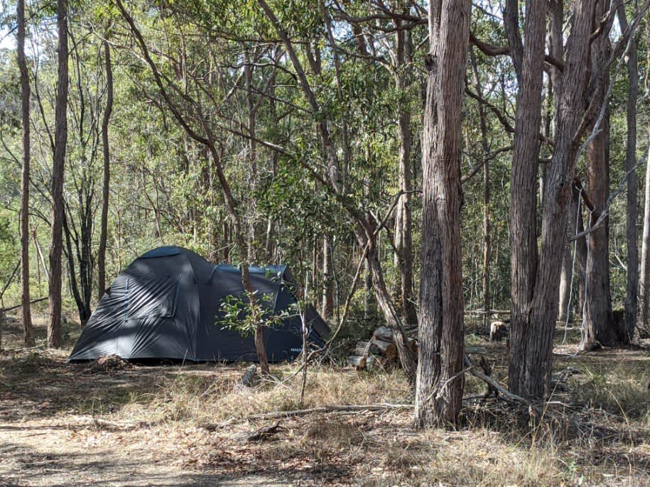 Kybong Animal Sanctuary, Gympie - Hipcamp in Kybong, Queensland
