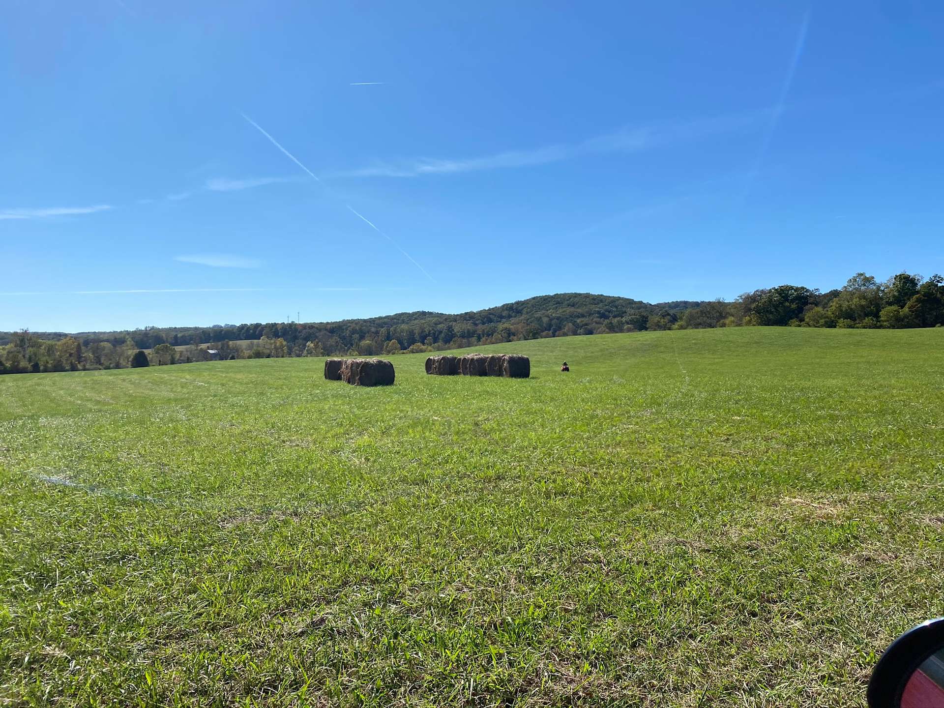 Moss Farm - Hipcamp in Ooltewah, Tennessee