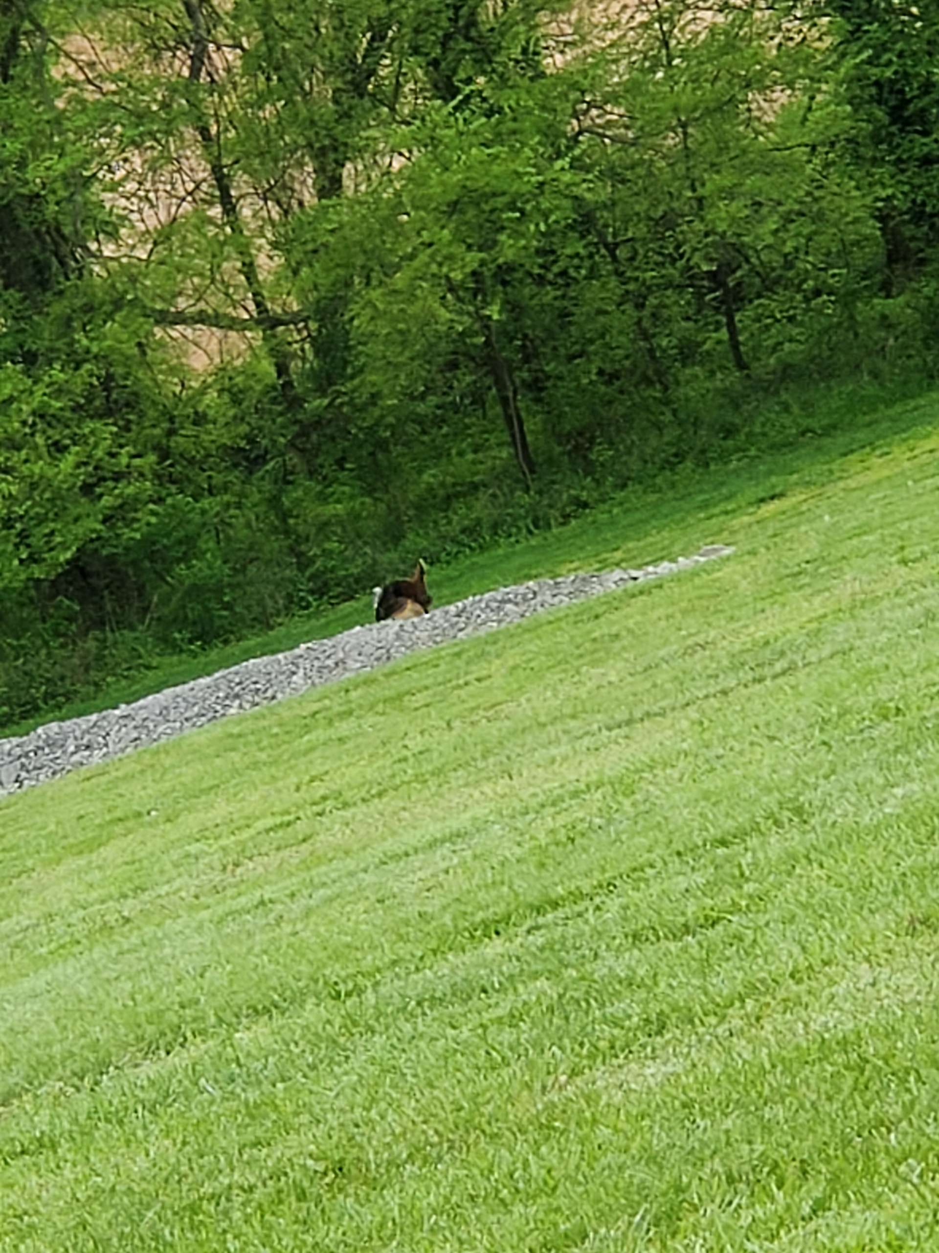 The Redneck Outback - Hipcamp in Hopkinsville, Kentucky