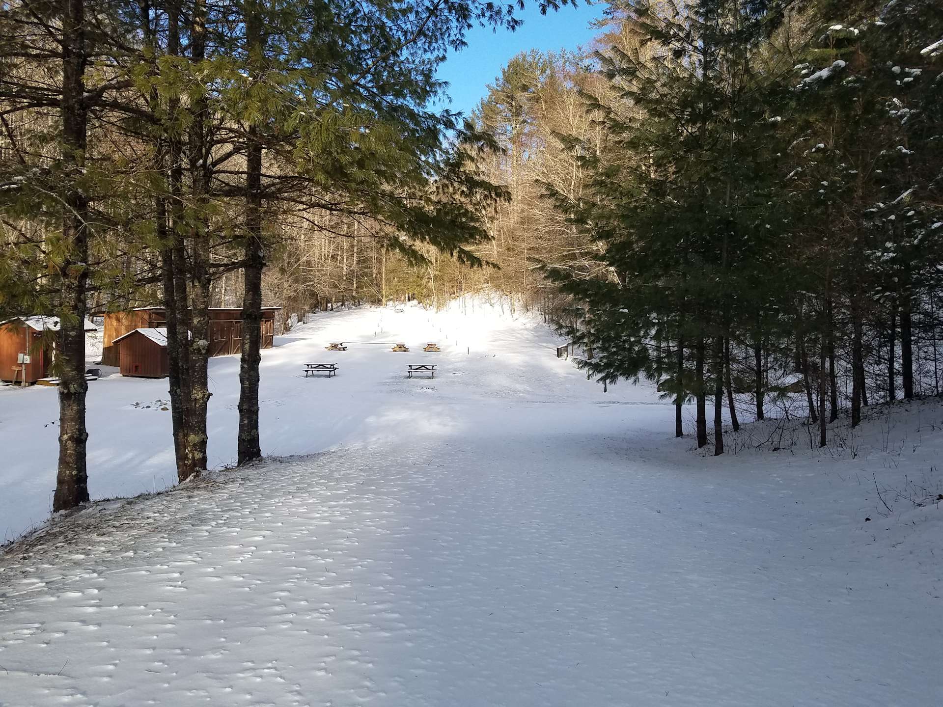 Black Bear Resort - Hipcamp in Hampton, Tennessee