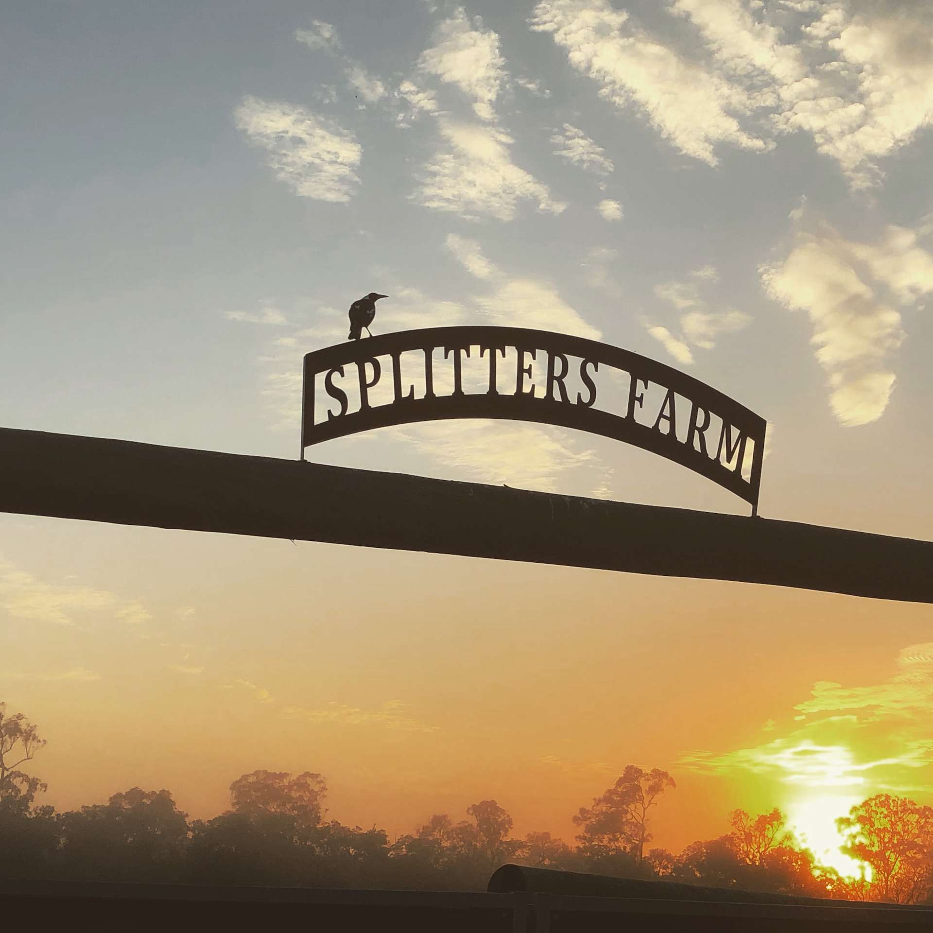 Splitters Farm - Hipcamp in Sharon, Queensland