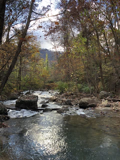 River Life RV Resort - Hipcamp in Chattanooga, Tennessee