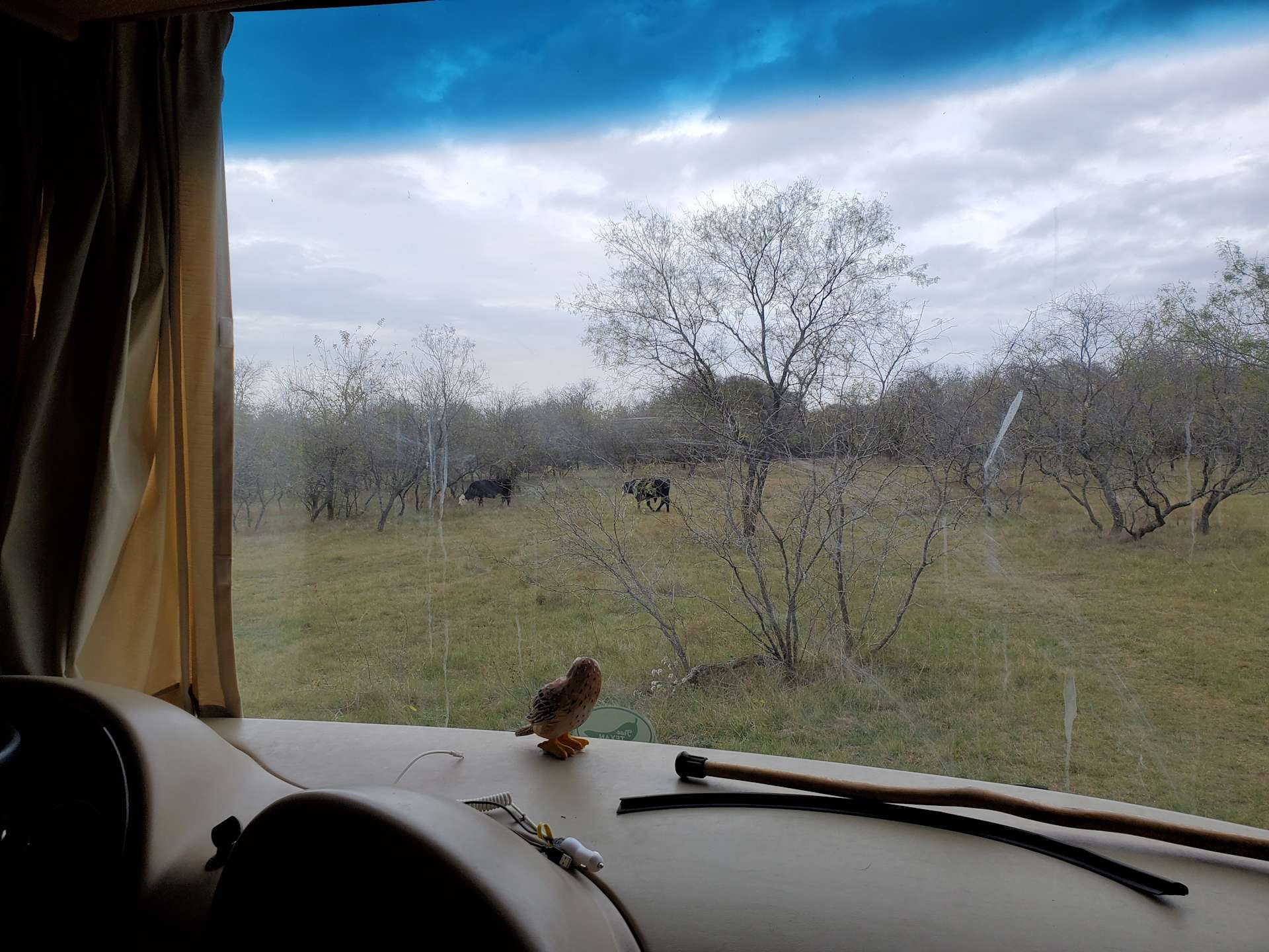 L7 Cattle Ranch Plus - Hipcamp in Moody, Texas