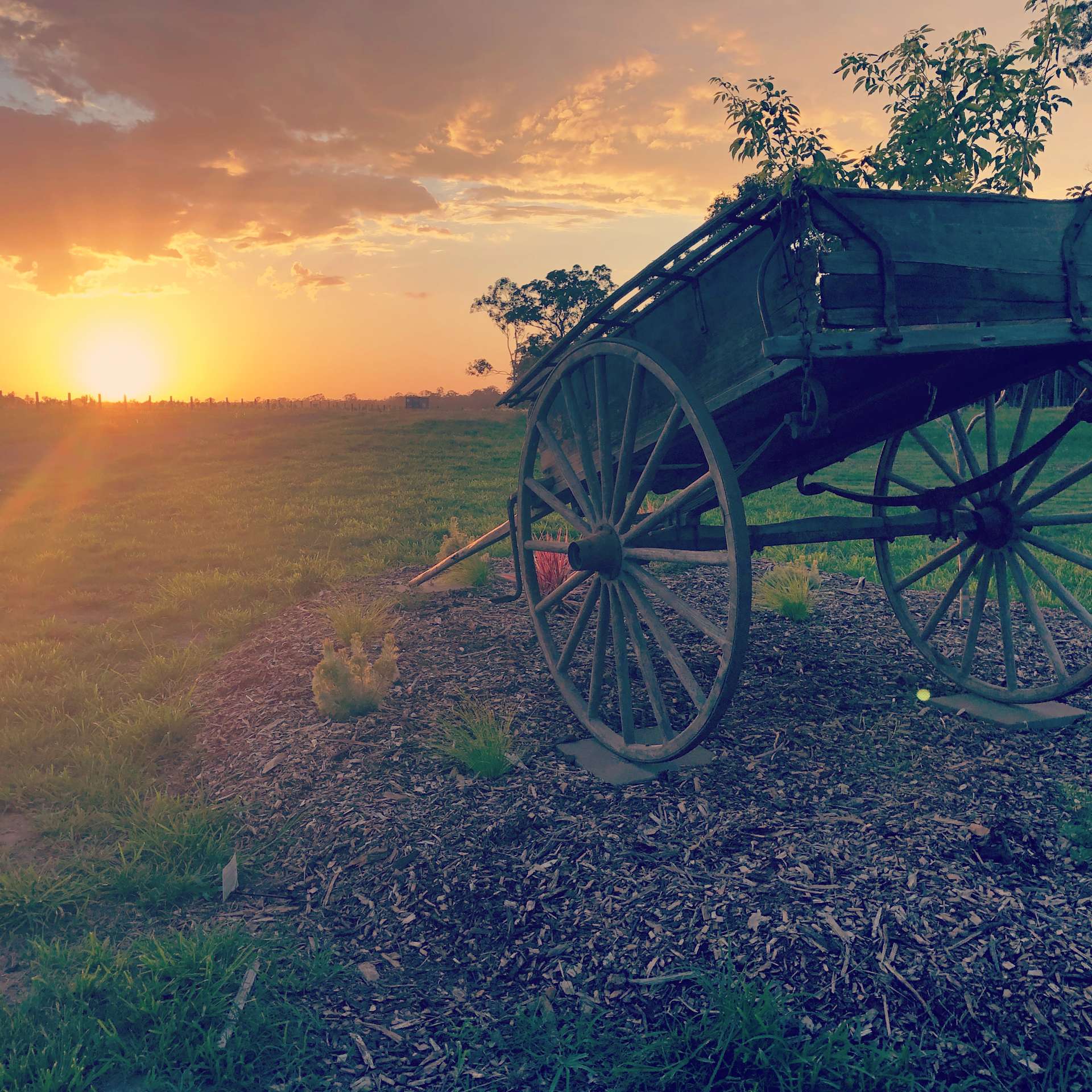 Splitters Farm - Hipcamp in Sharon, Queensland