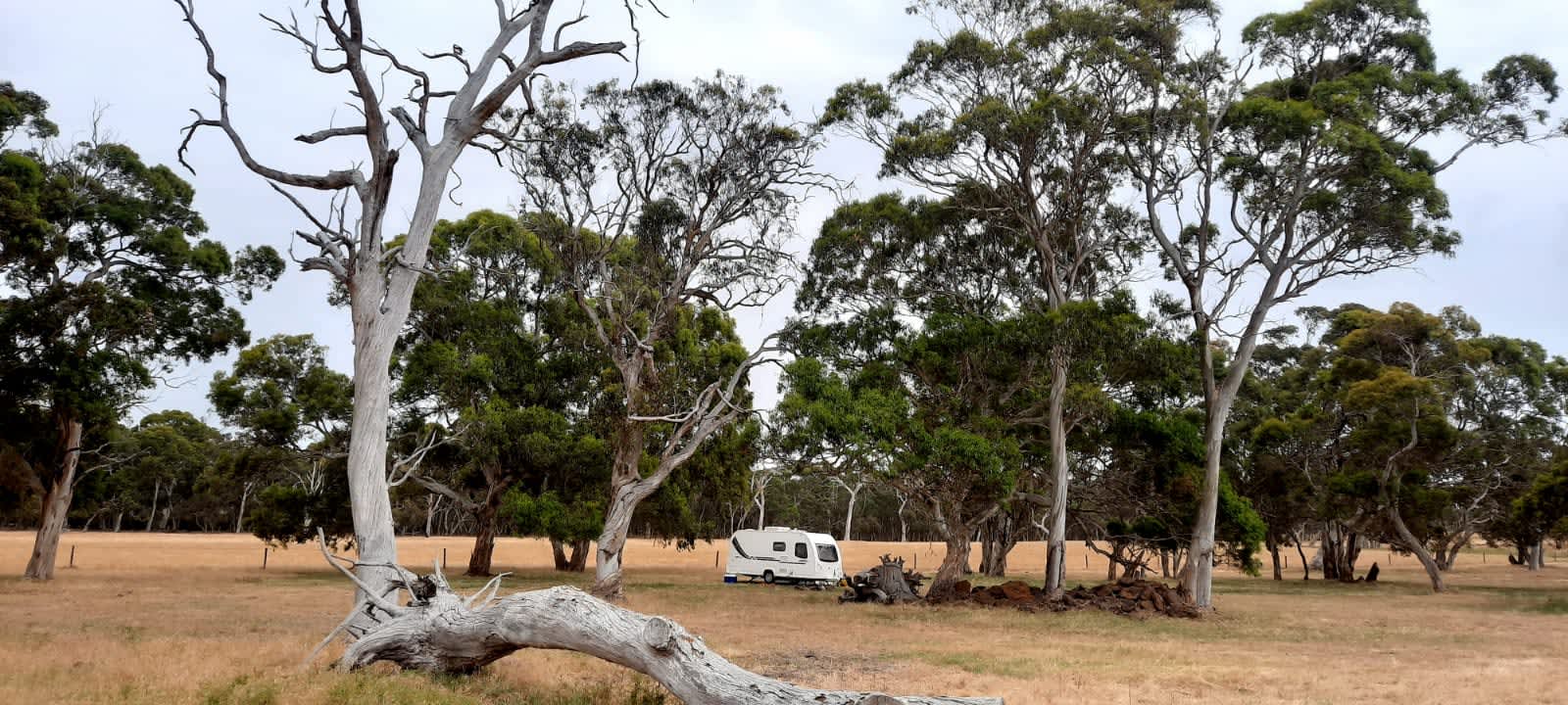 Breakaway Farmstay - Hipcamp in Waitpinga, South Australia