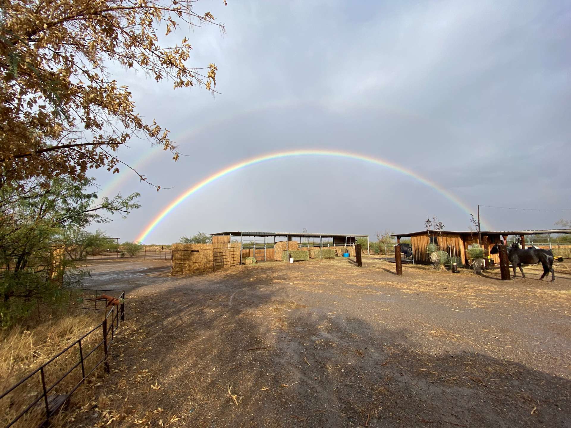 Cold Bore Ranch - Hipcamp in Cochise, Arizona