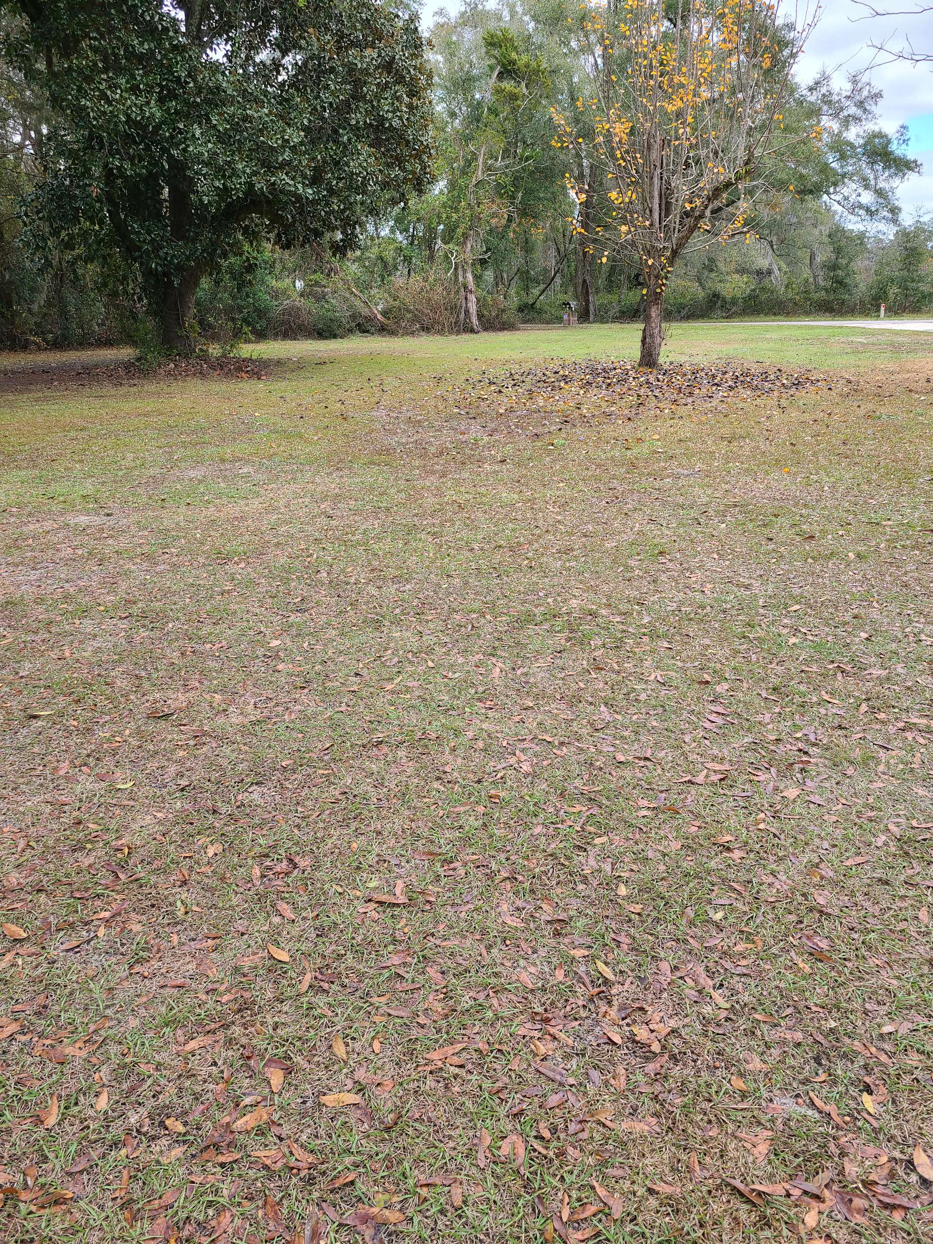 Barry's place - Hipcamp in Wellborn, Florida