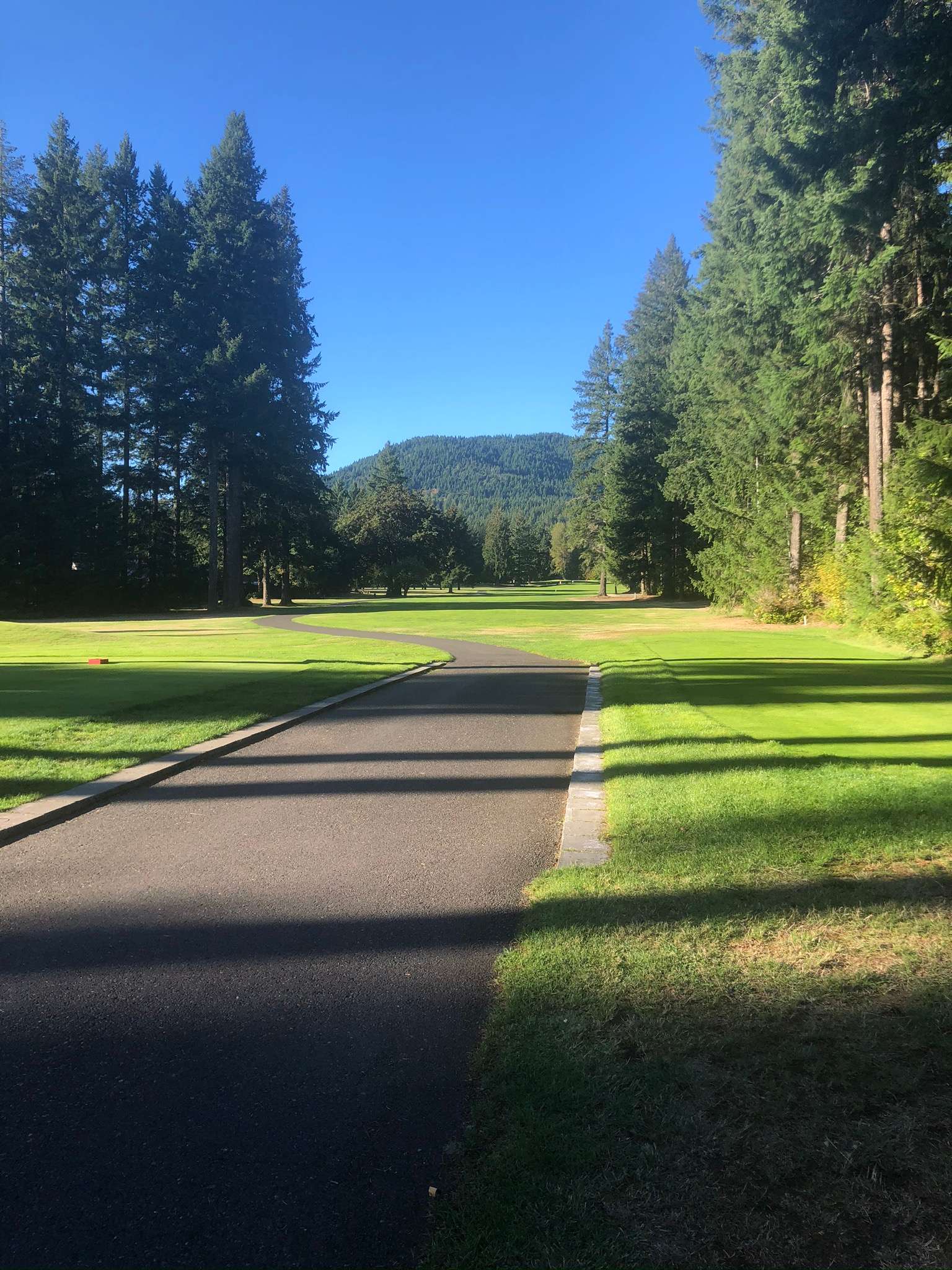 Kenna C.’s Land - Hipcamp in Hoodsport, Washington