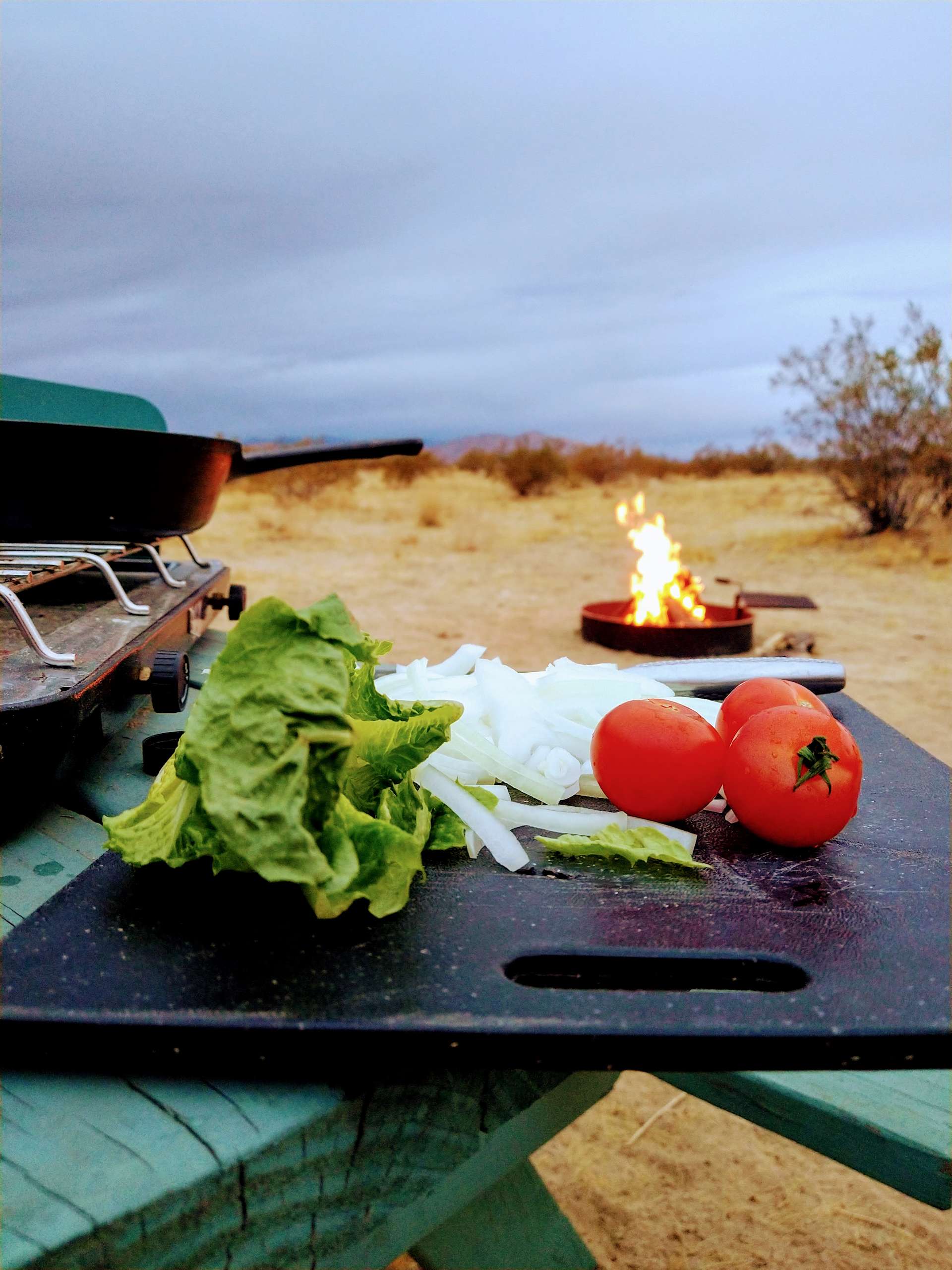 Sunfair Vistas, Joshua Tree - Hipcamp in , California