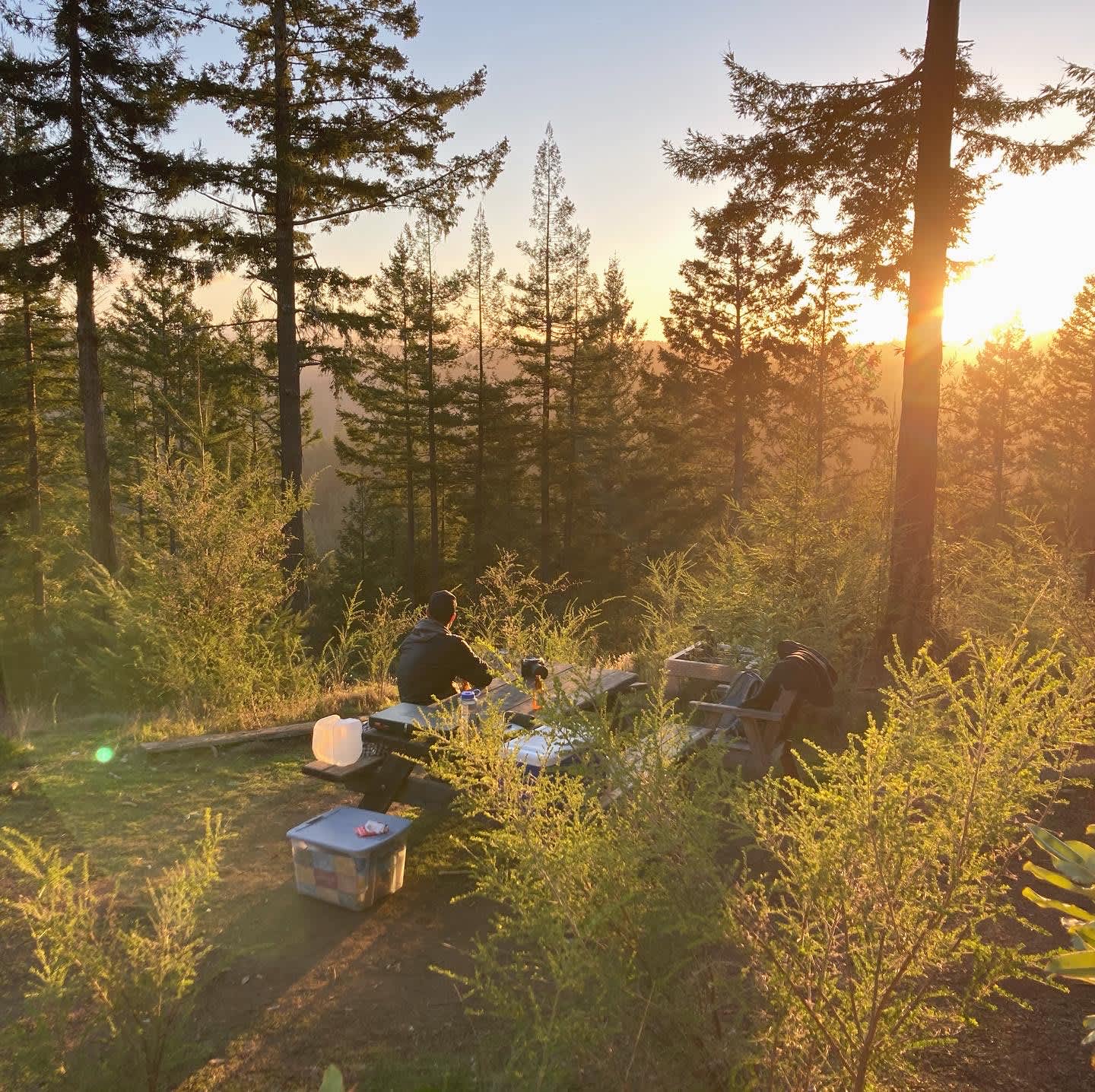 South Facing Ridge With Views - Hipcamp in Comptche, California