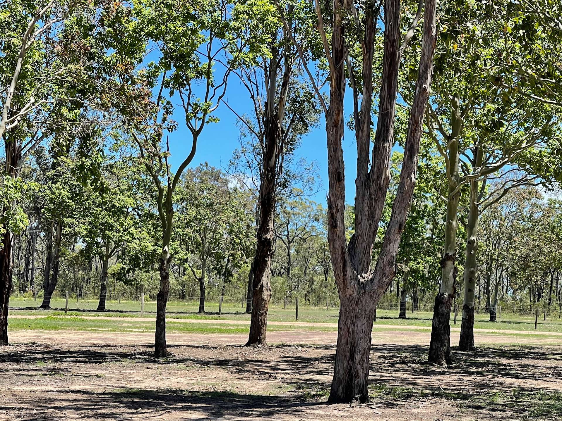 Susan River Homestead - Hipcamp in Susan River, Queensland