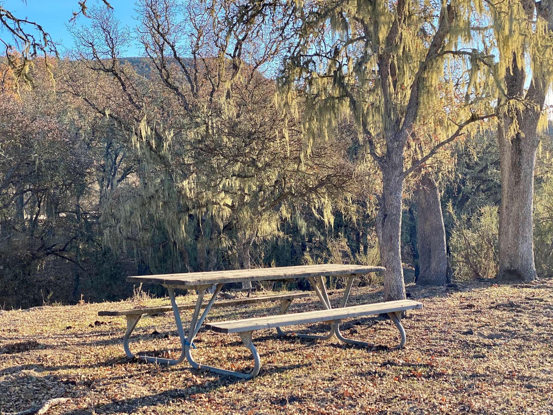 Smith Ranch - Hipcamp in Bradley, California