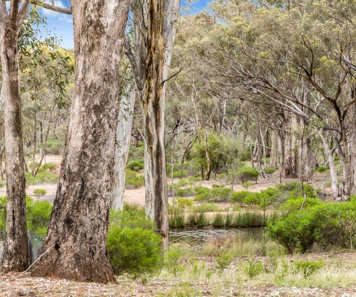 Snooks at Possum Point - Hipcamp in Wedderburn, Victoria