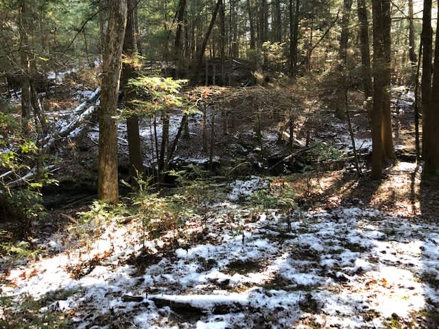 A Magical Place to Visit - Hipcamp in Clarkrange, Tennessee