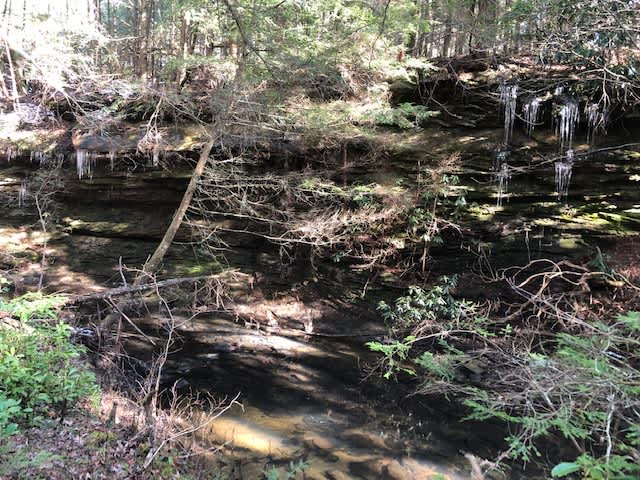 A Magical Place to Visit - Hipcamp in Clarkrange, Tennessee